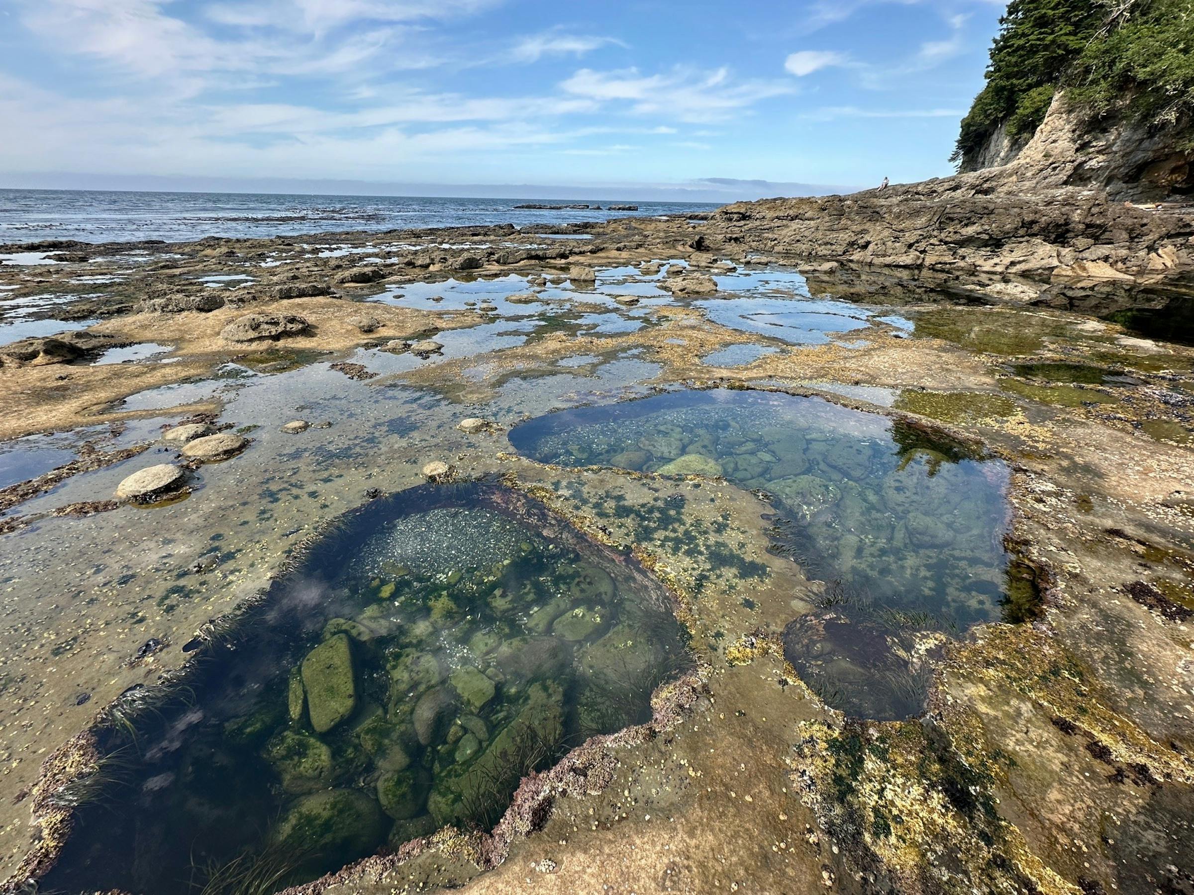 An escape from the crowds on Canada’s Vancouver Island