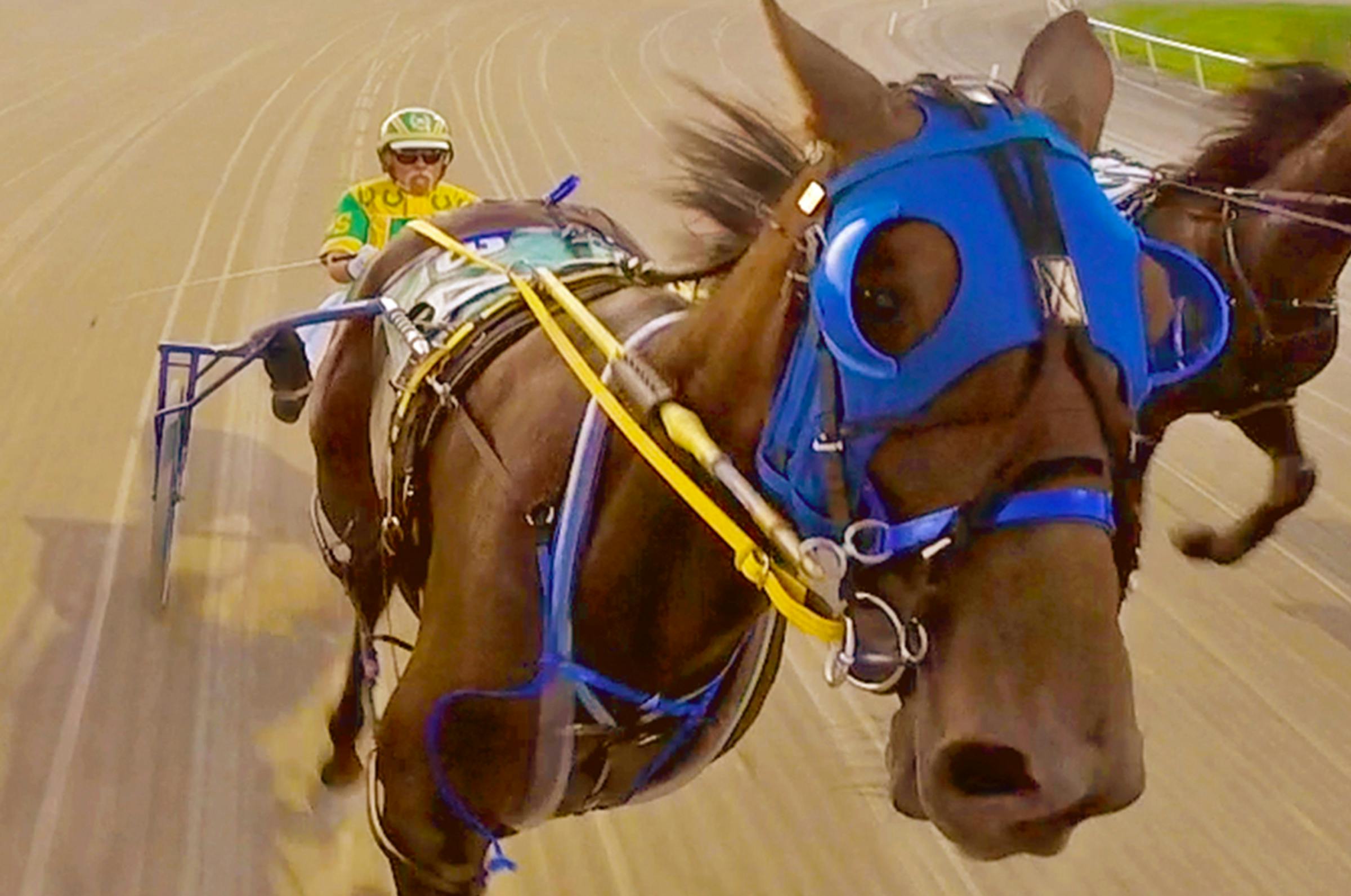 Running Aces trotters, pacers set sights on record $6.6 million season ...