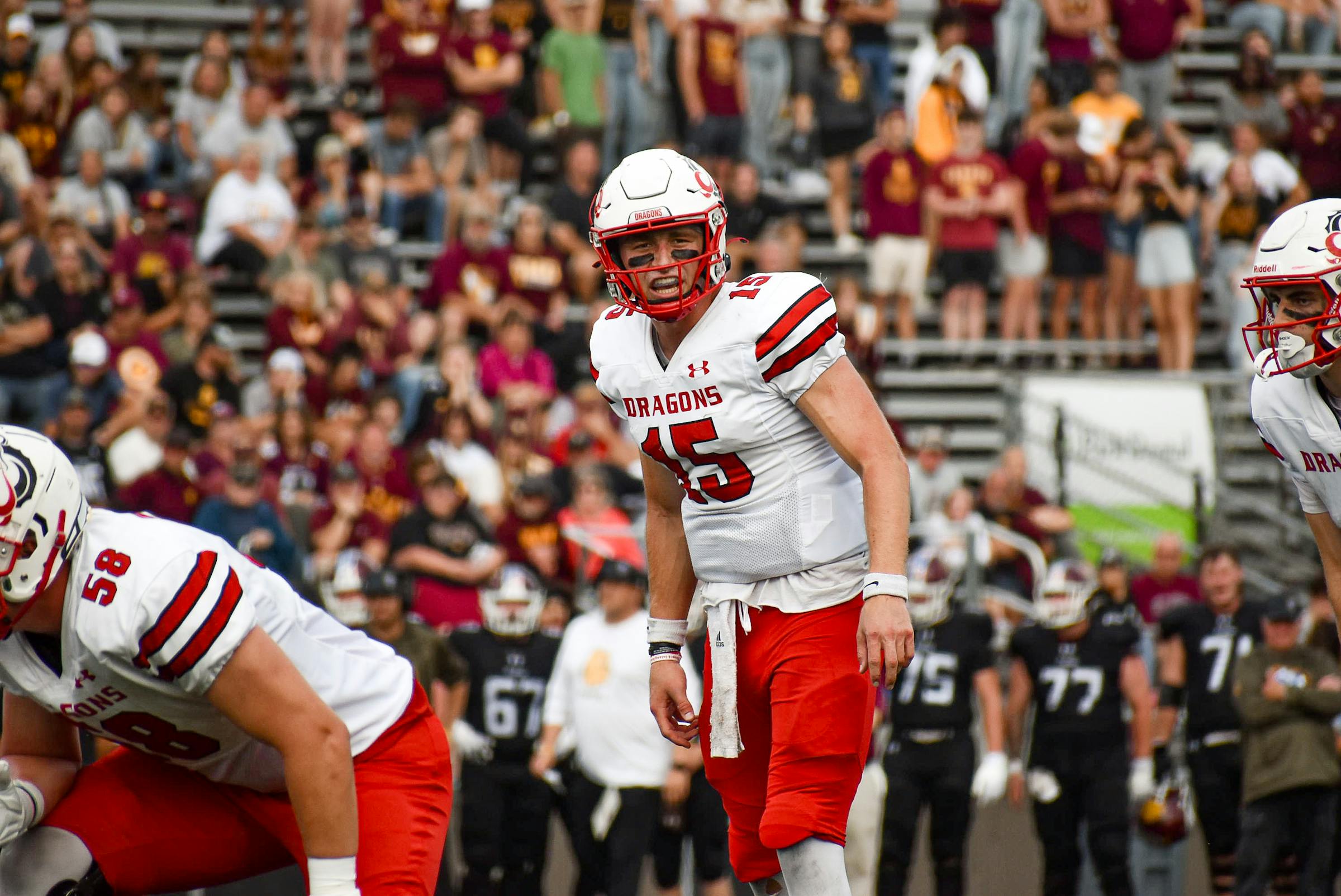 Four Minnesota college quarterbacks rank among the top Division II ...