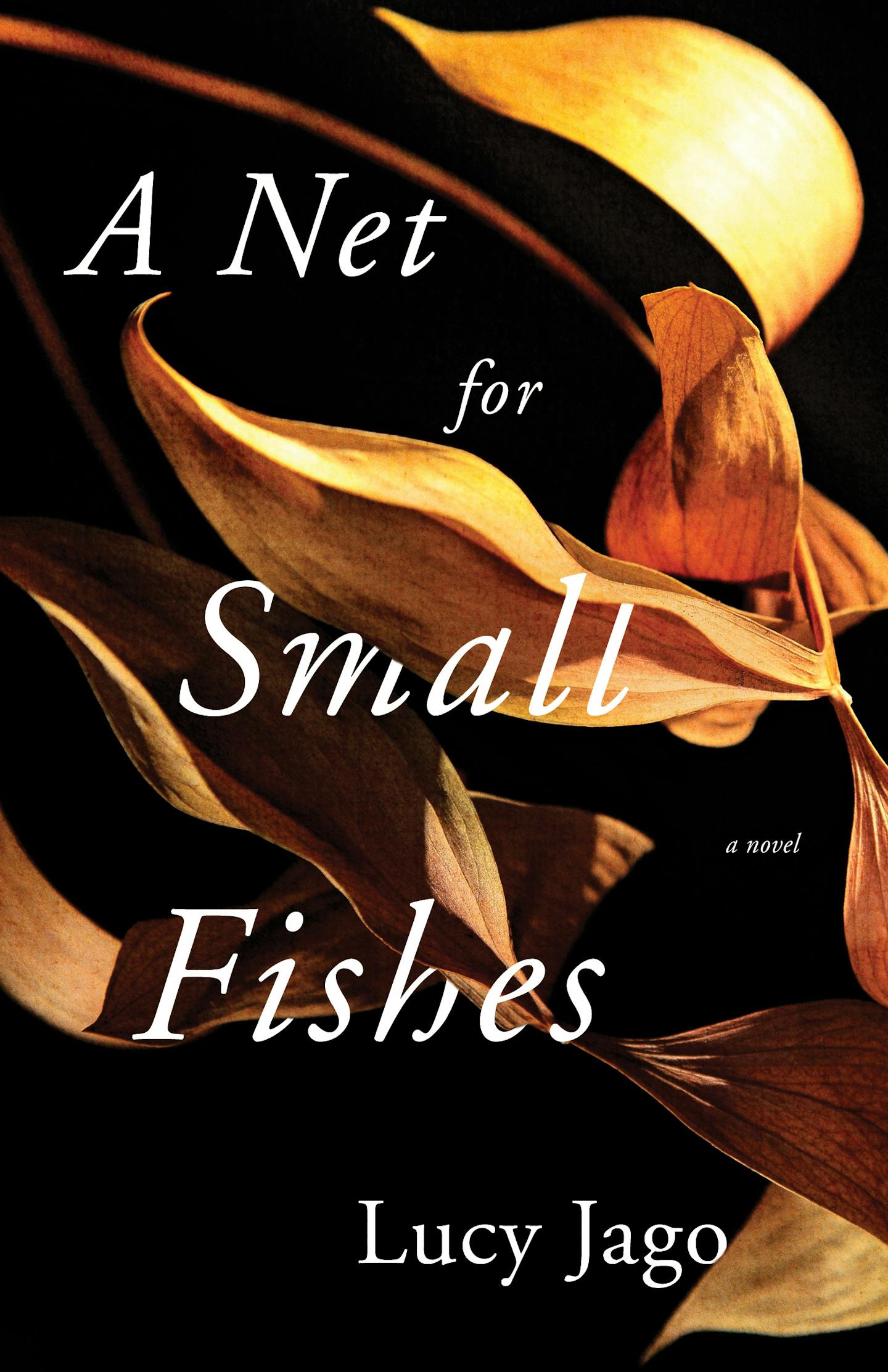 Review: 'A Net For Small Fishes,' by Lucy Jago