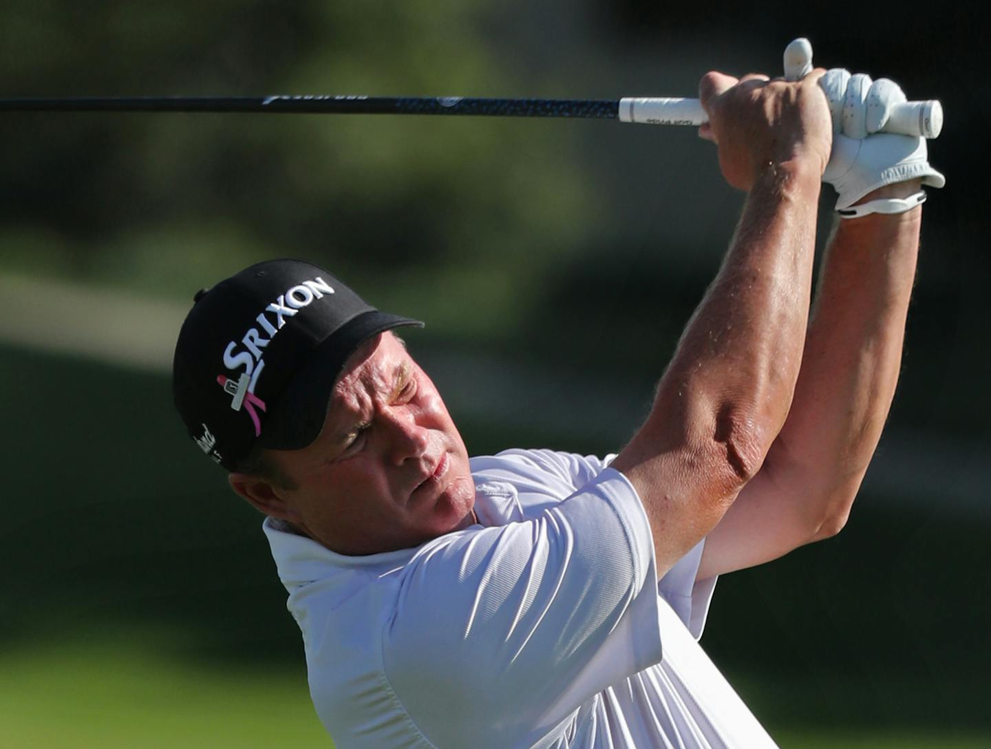 25th 3M Championship at a glance