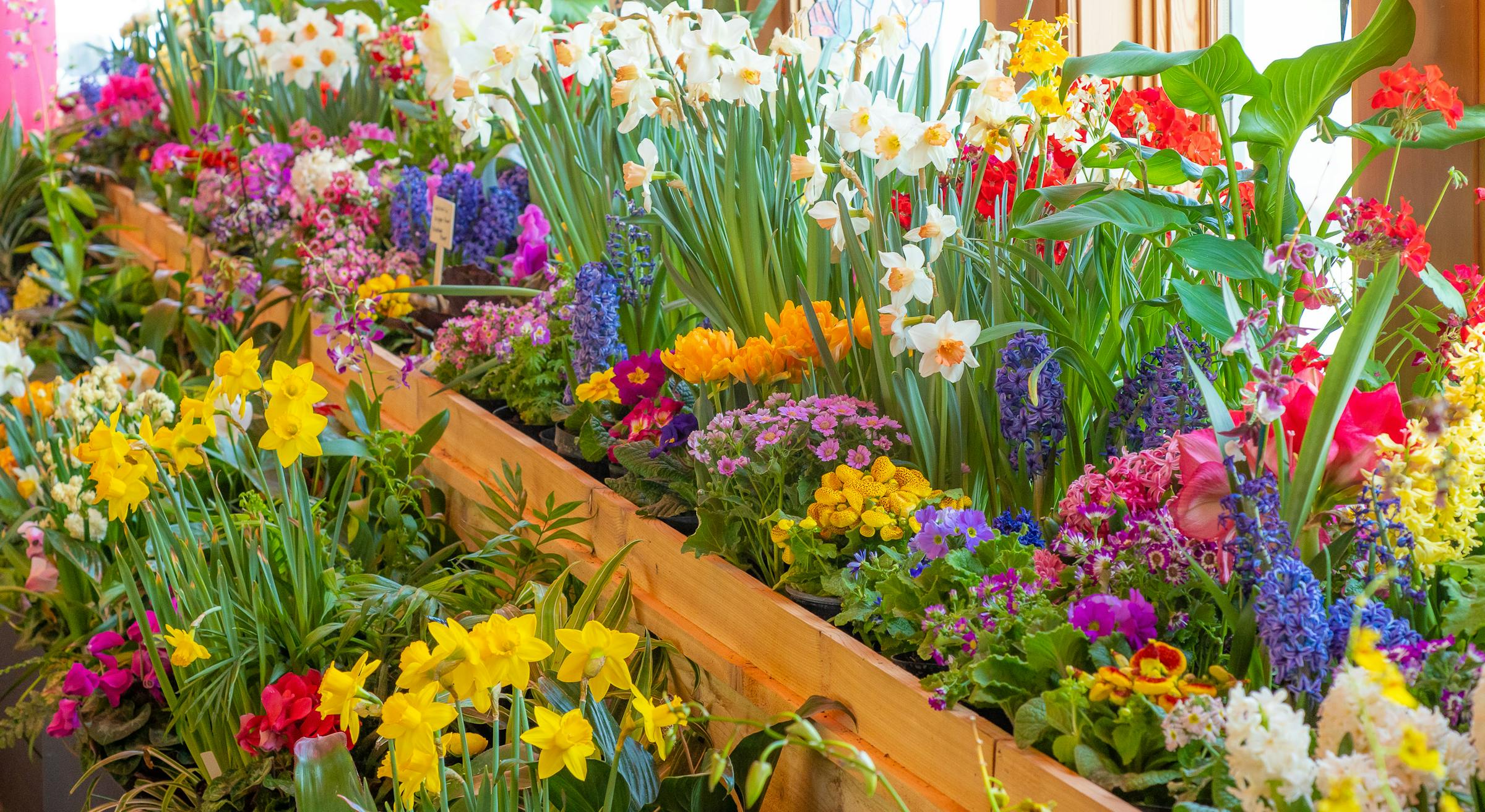What gray winter? The Minnesota Landscape Arboretum proves otherwise