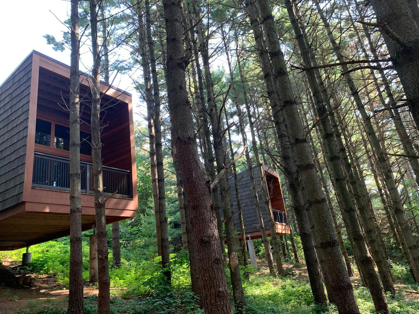 Designer camper cabins offer chic overnights in Dakota County's ...