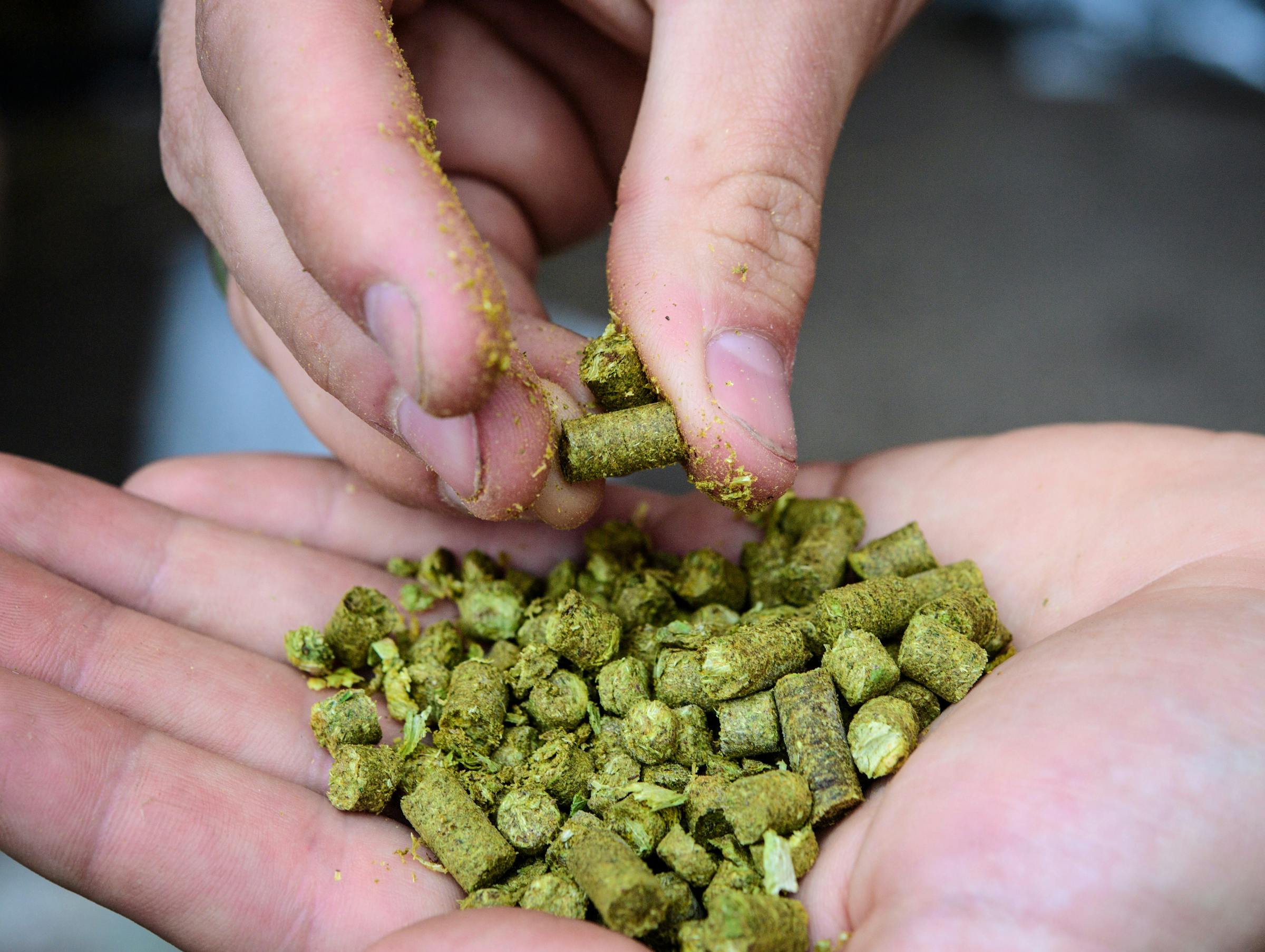 Northern Brewer closing retail locations, shifts to online-only sales