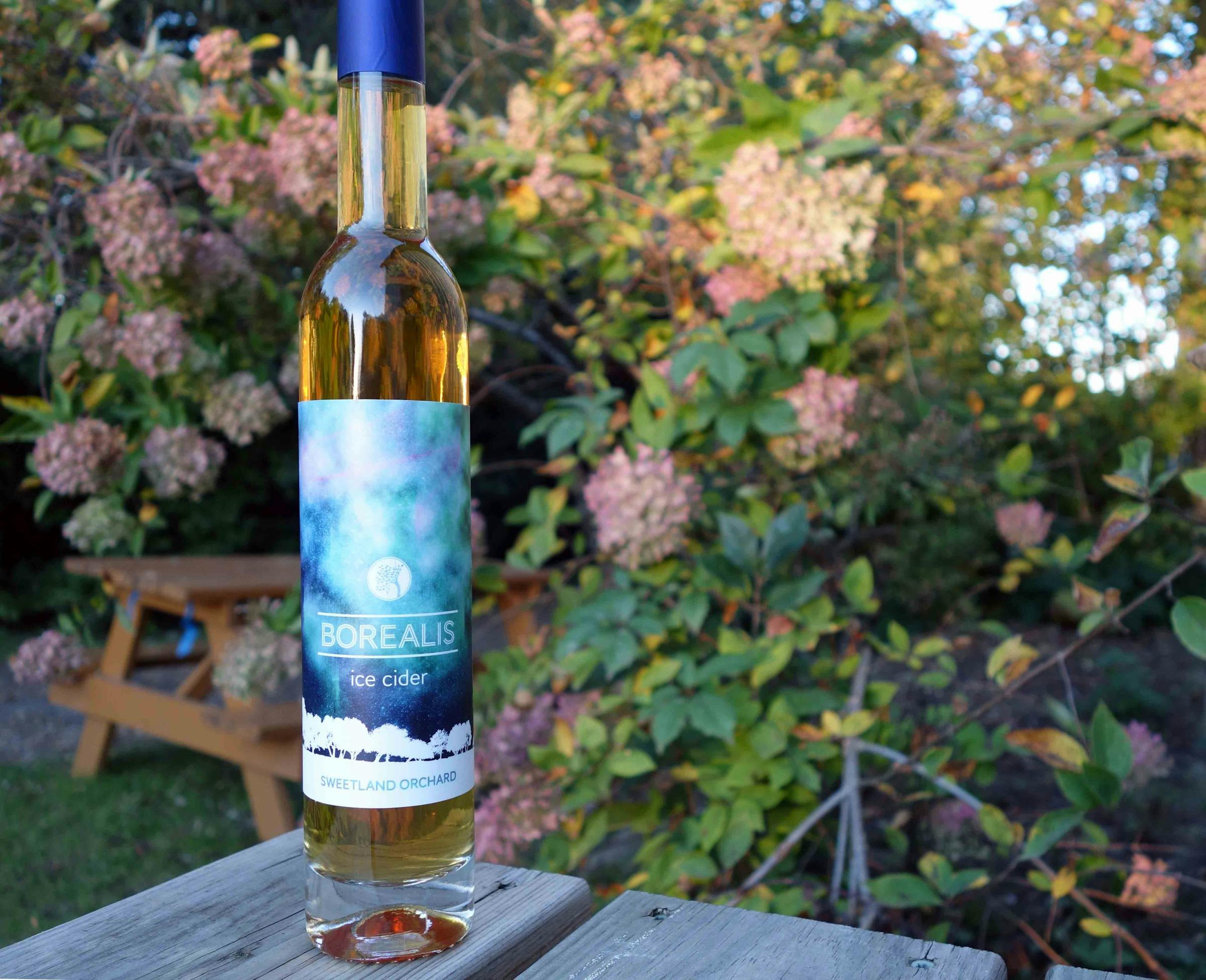 10 ciders to brighten your holiday season