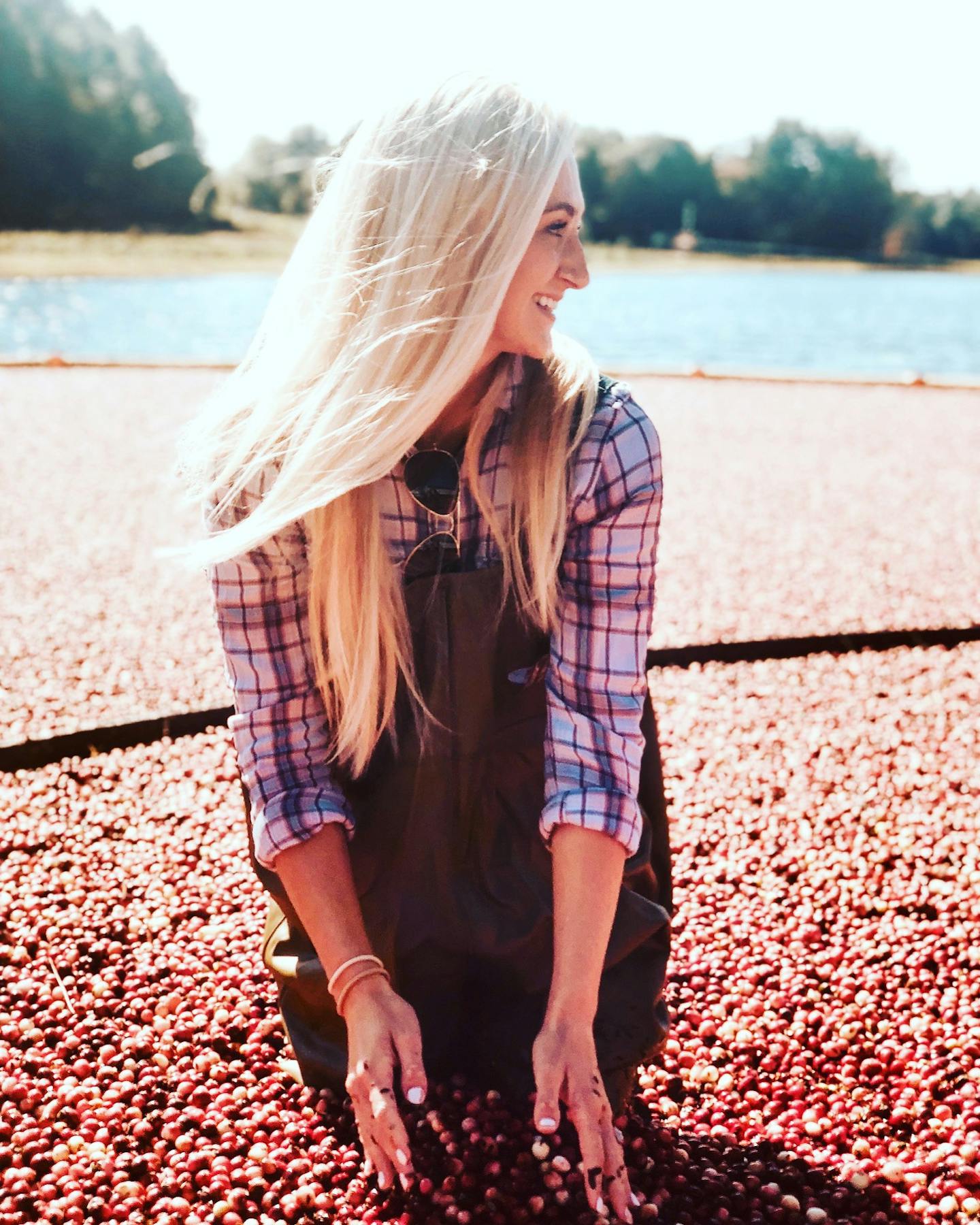 You can wade in the red marshes of Wisconsin cranberry country