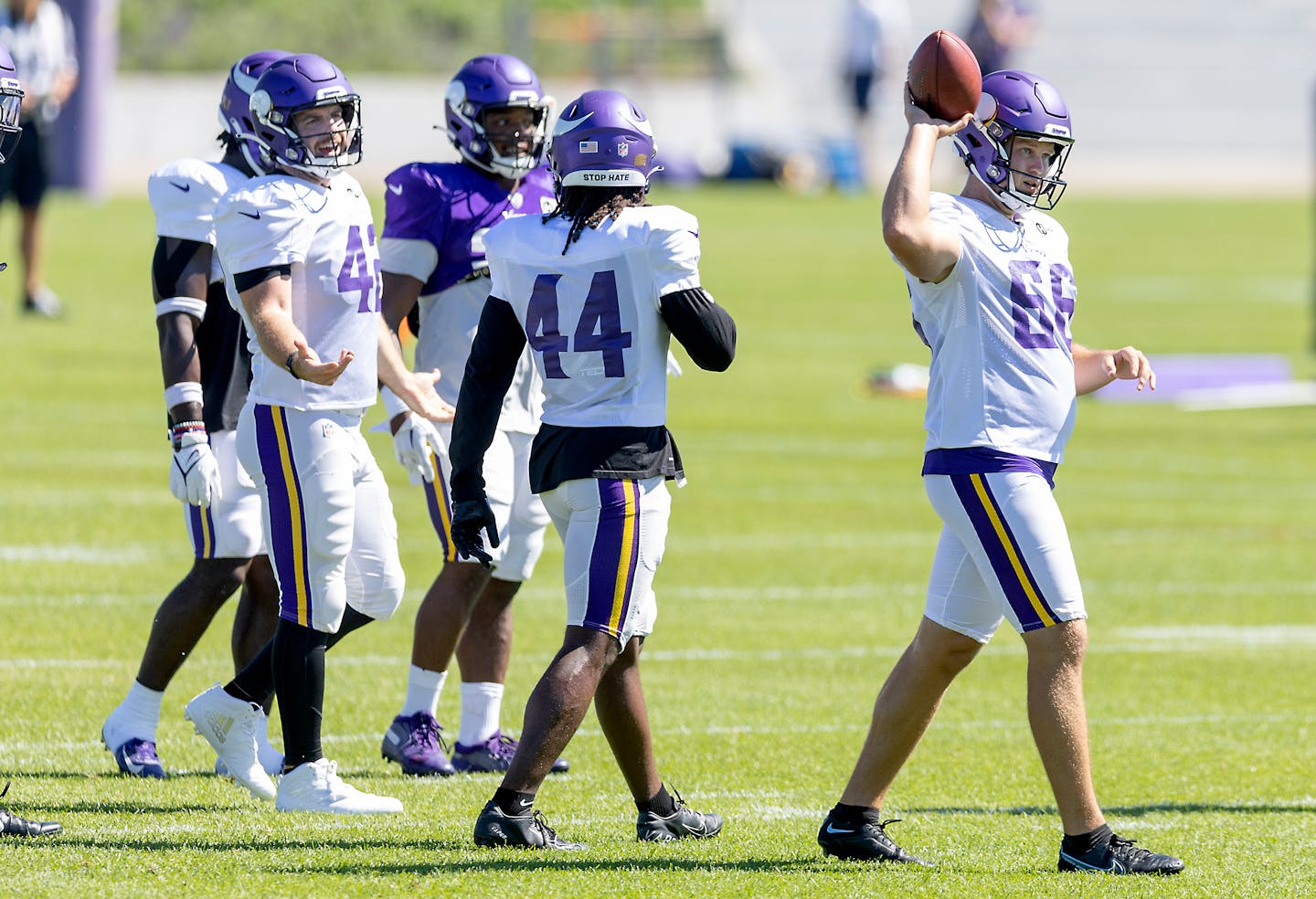Vikings punter Ryan Wright named NFC special teams player of the week