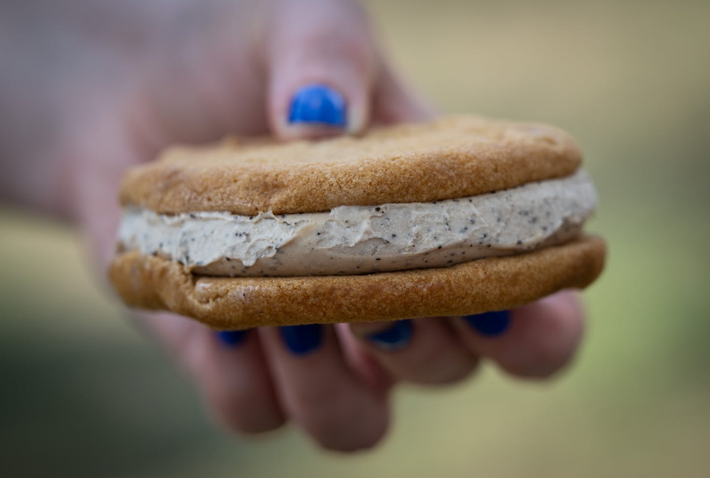 Minnesota State Fair's 78 new foods are ranked from tasty to try again