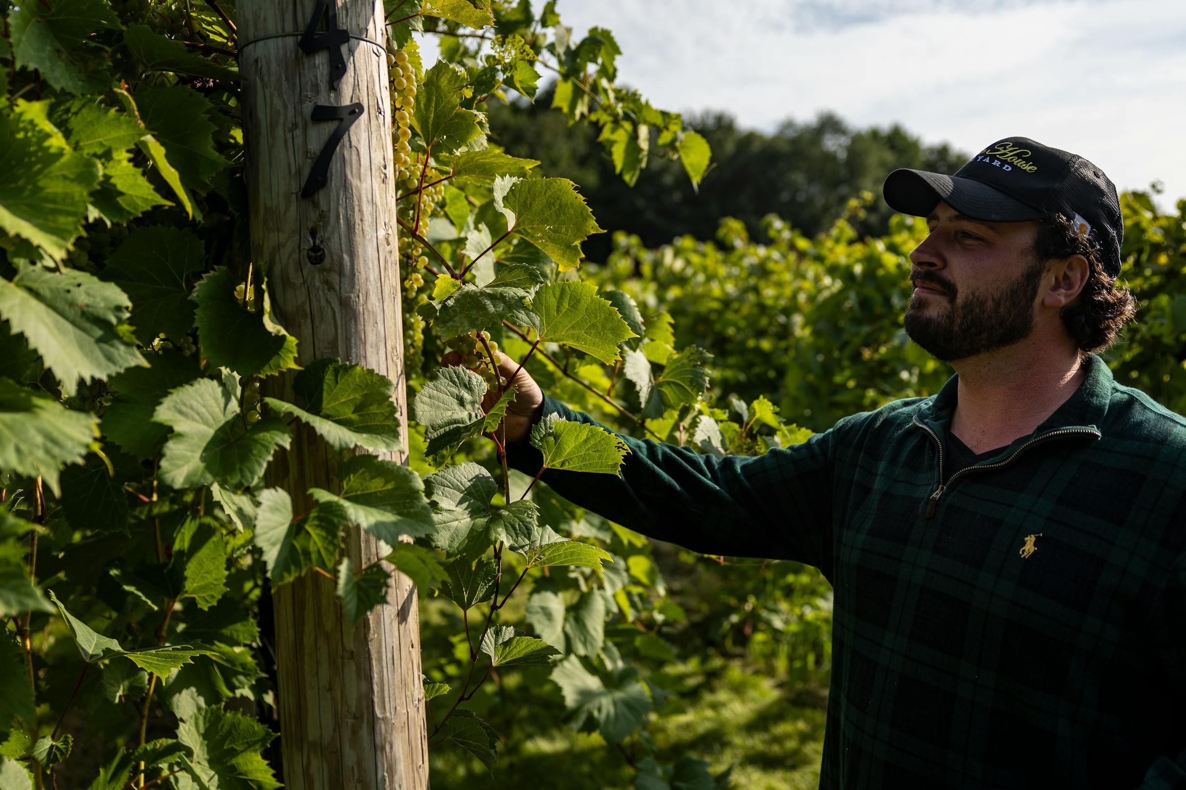 With city approval in hand, Afton vintner plans tasting room