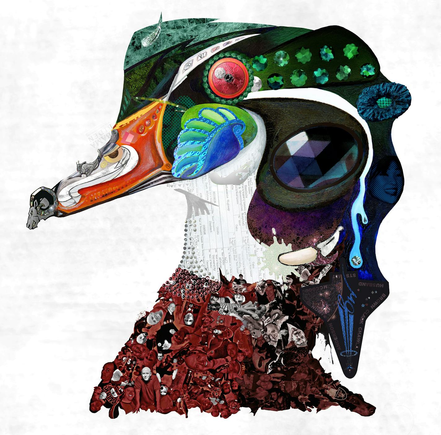 Experience the joy of looking