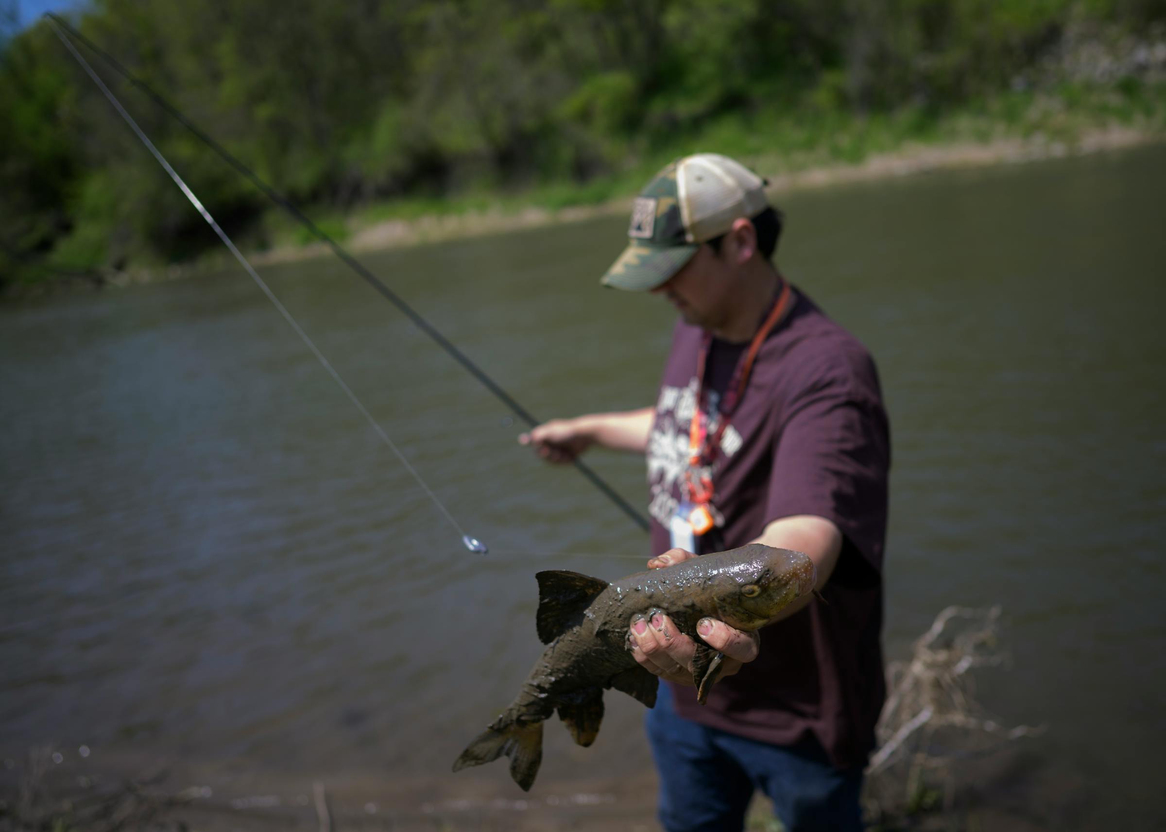 Minnesota's oldest, oddest fish. Anglers hope to unlock mysteries.