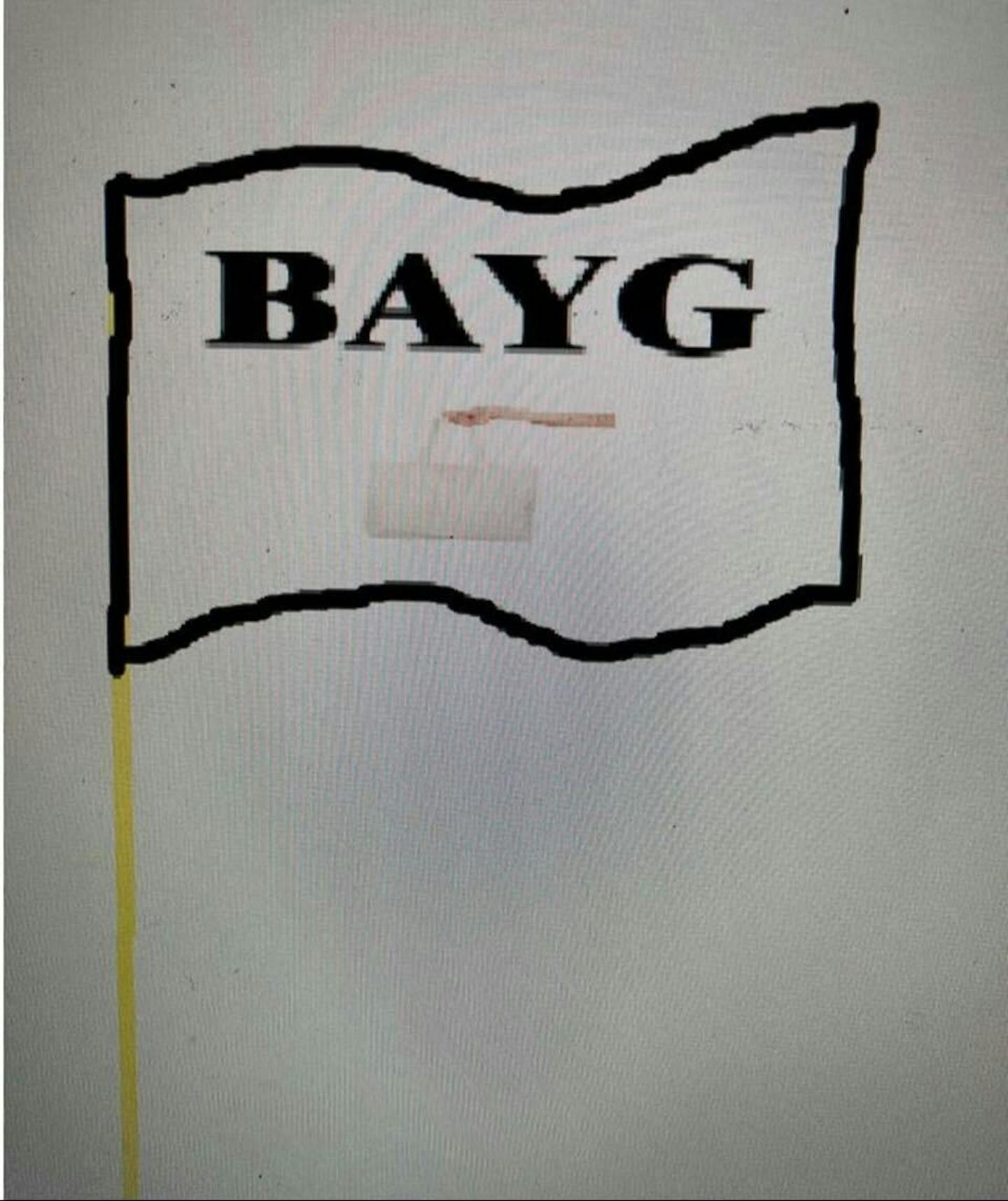 Land of 10,000 flags (and loons with laser eyes)