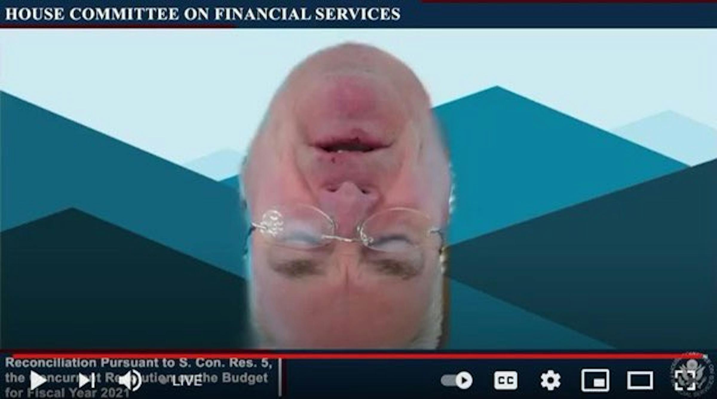 Minnesota Rep. Tom Emmer's upside-down head speaks before House panel