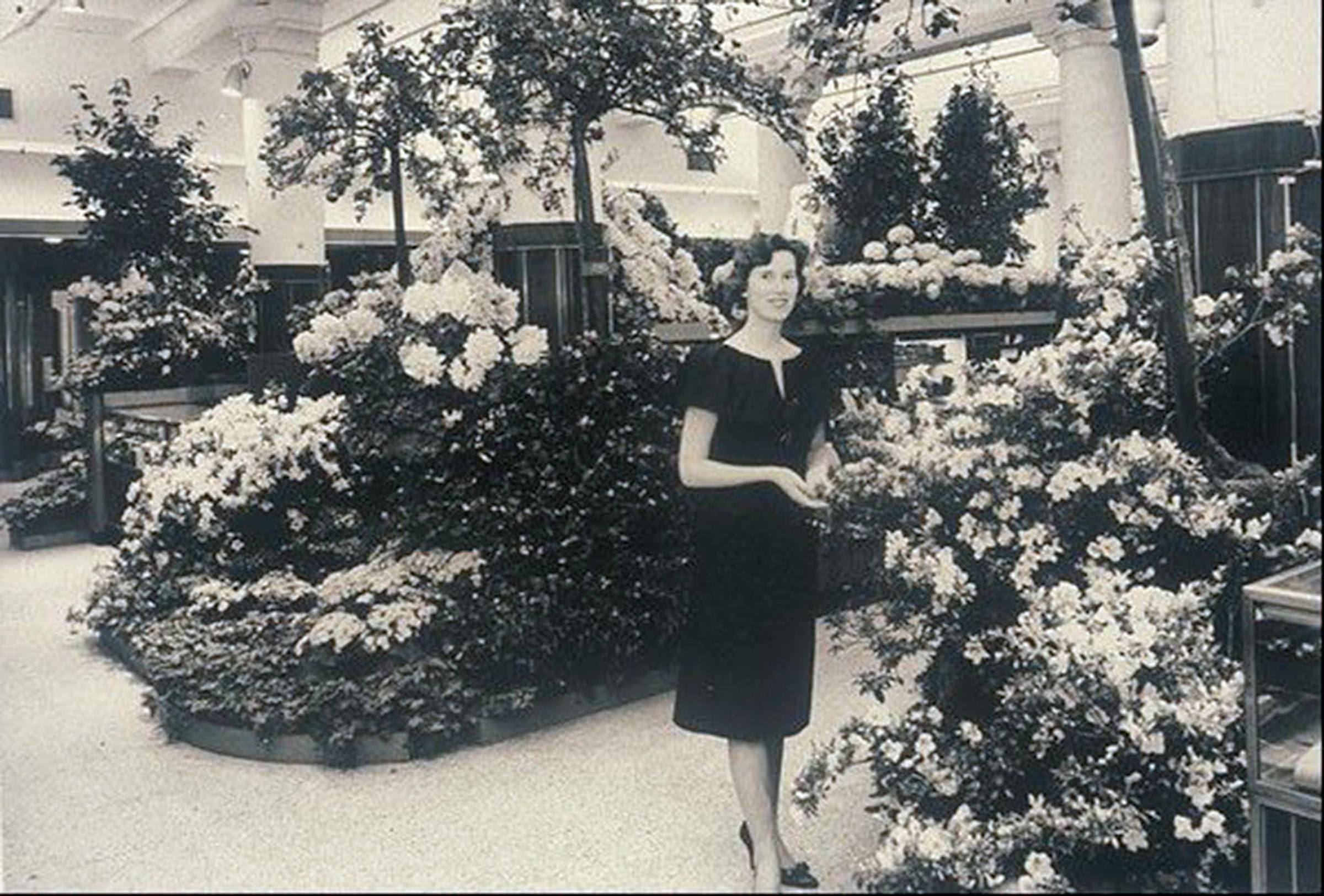 Farewell to the flower show: Five decades of downtown in bloom