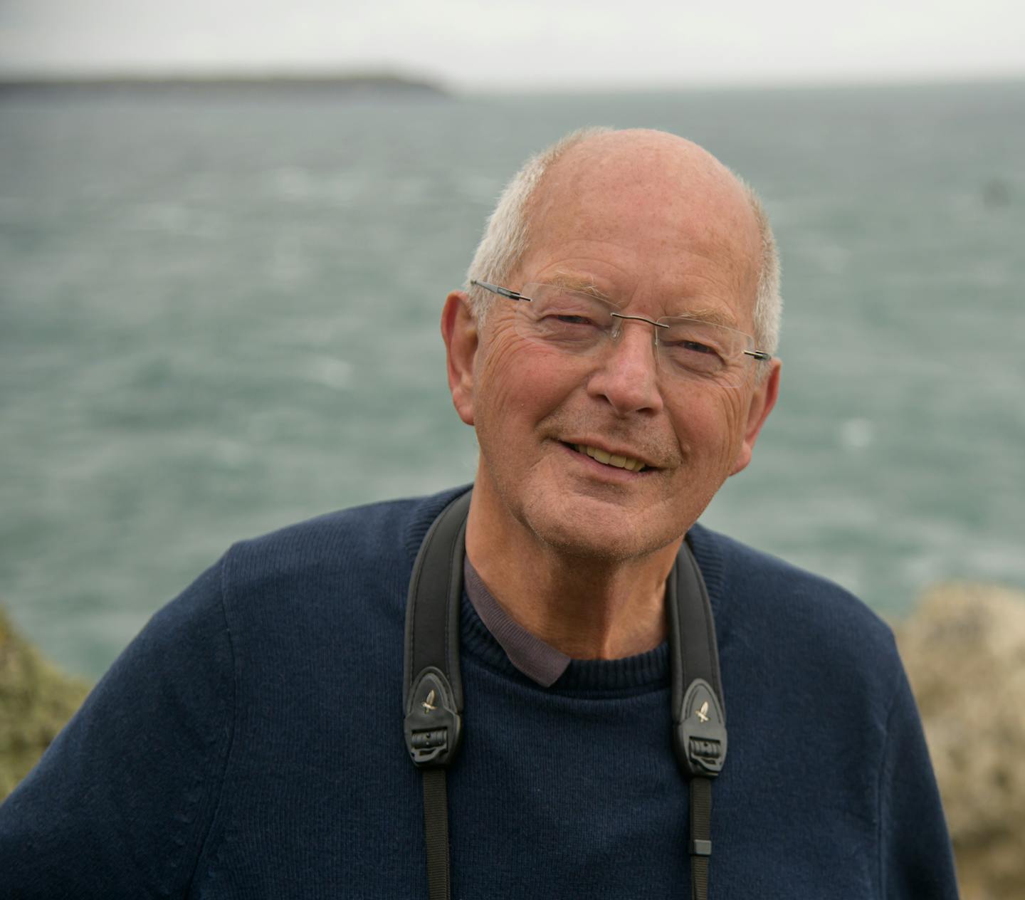 Review: 'Birds and Us,' by Tim Birkhead