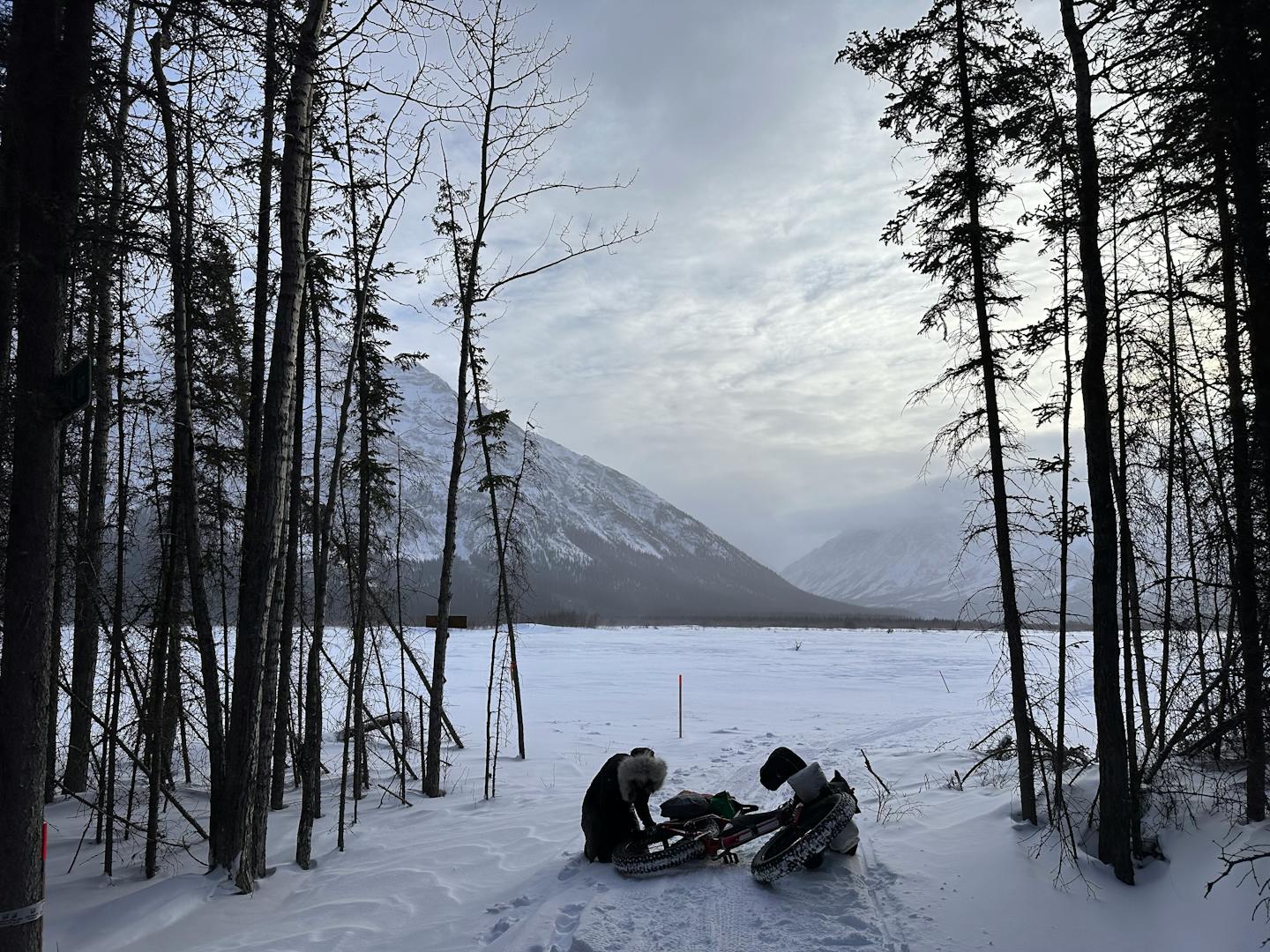 1,000 miles on: Duluth woman Leah Gruhn completes Iditarod odyssey by ...