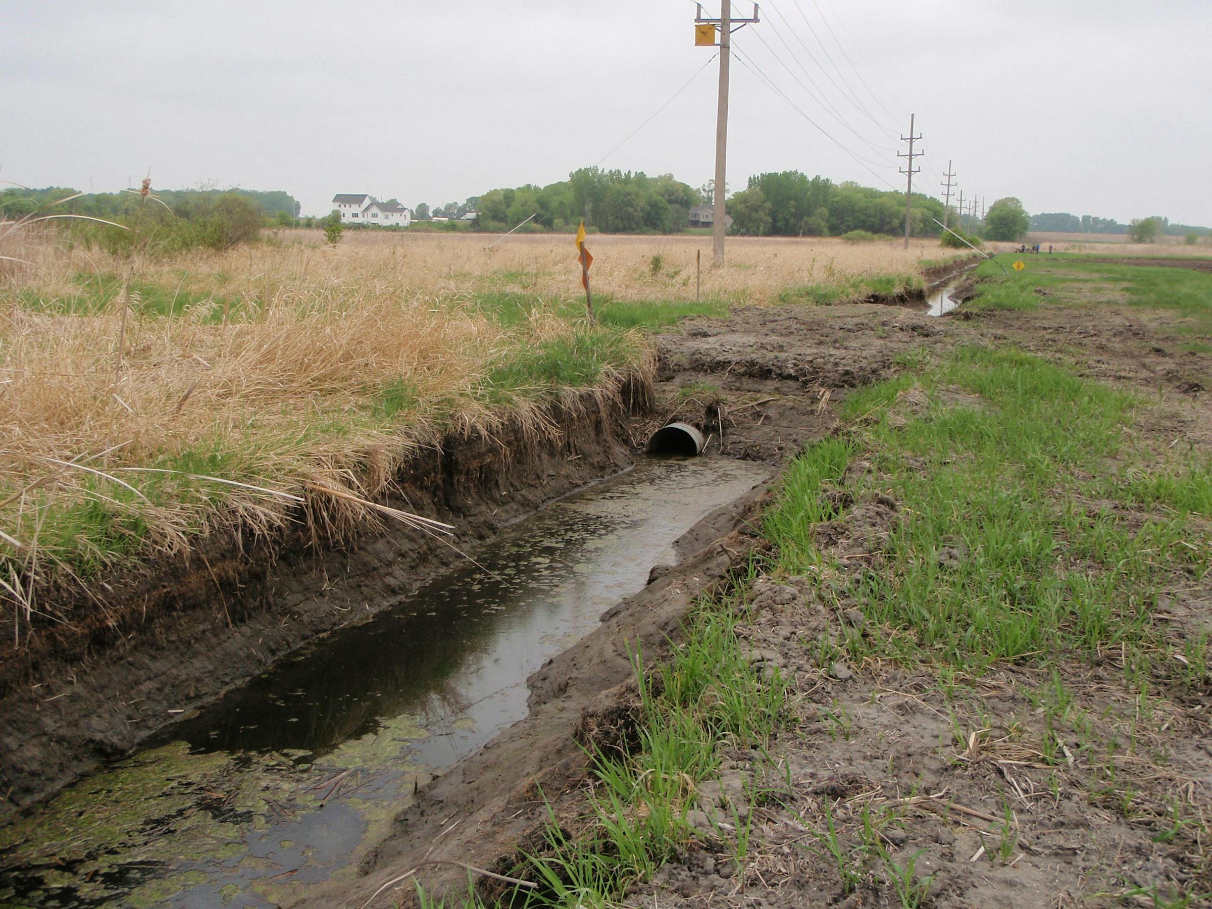 Seven years on, wetland damage on a Hennepin County farm hasn’t been fixed