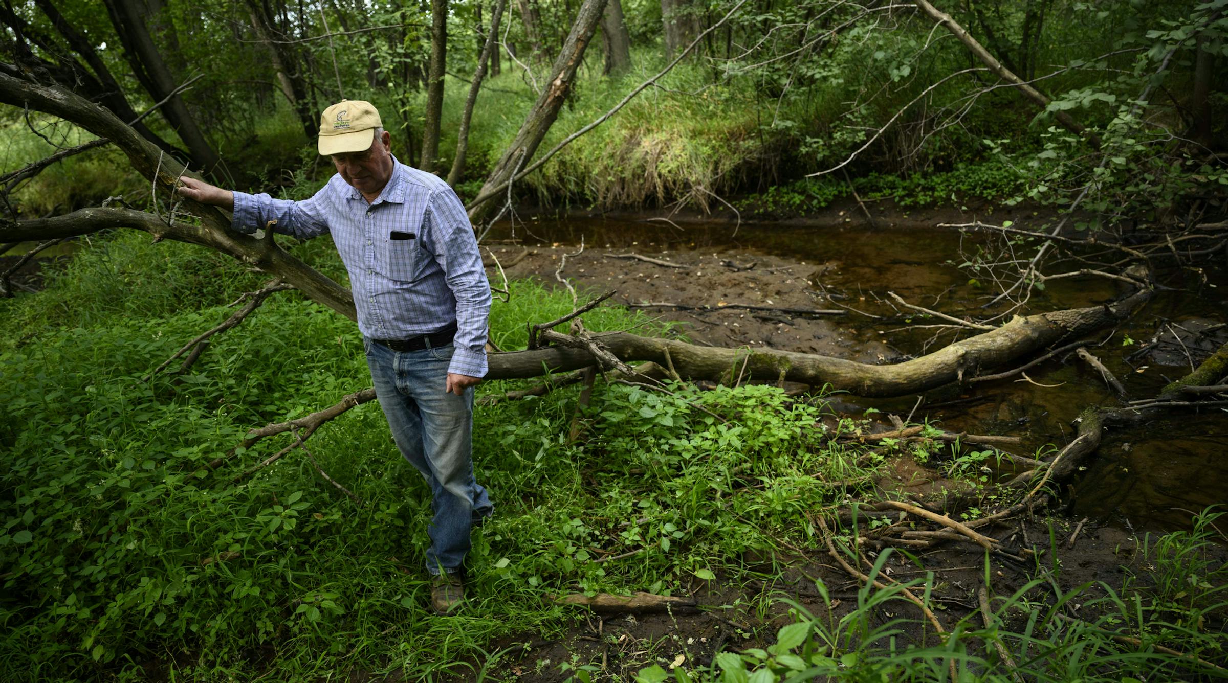A trout stream struggles in Minnesota farm country