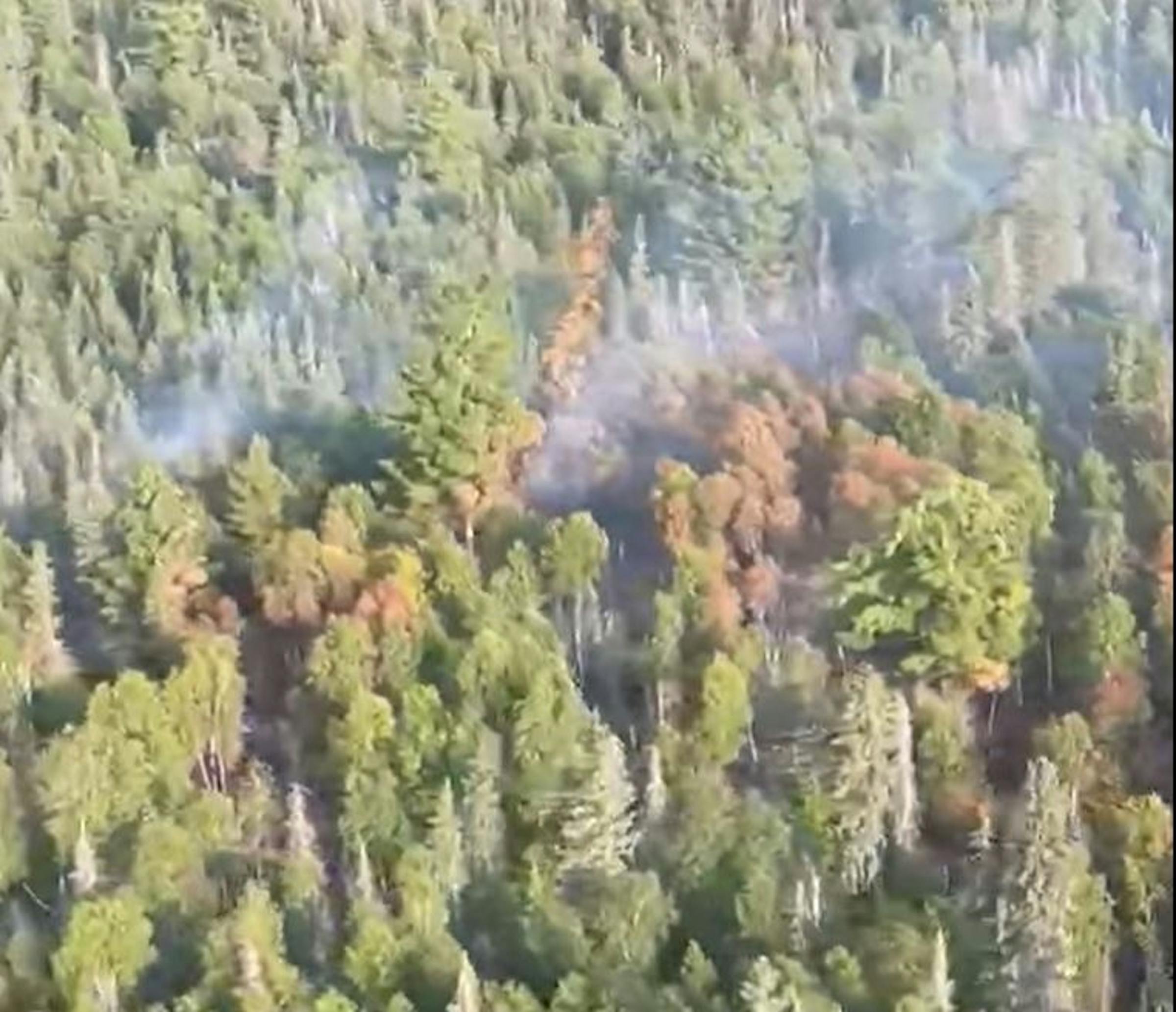 Superior National Forest fire near Ely is now contained
