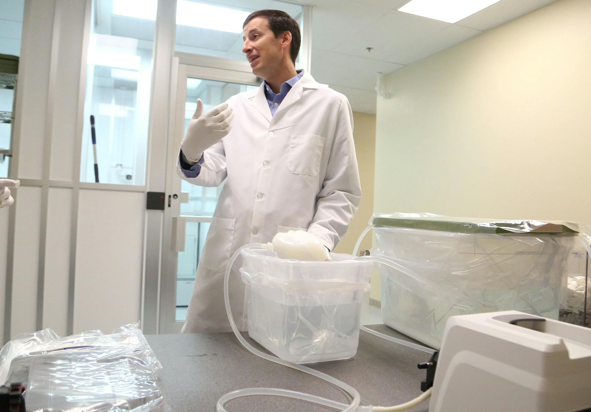 Miromatrix spins out a company, steps up focus on bioengineered organs ...