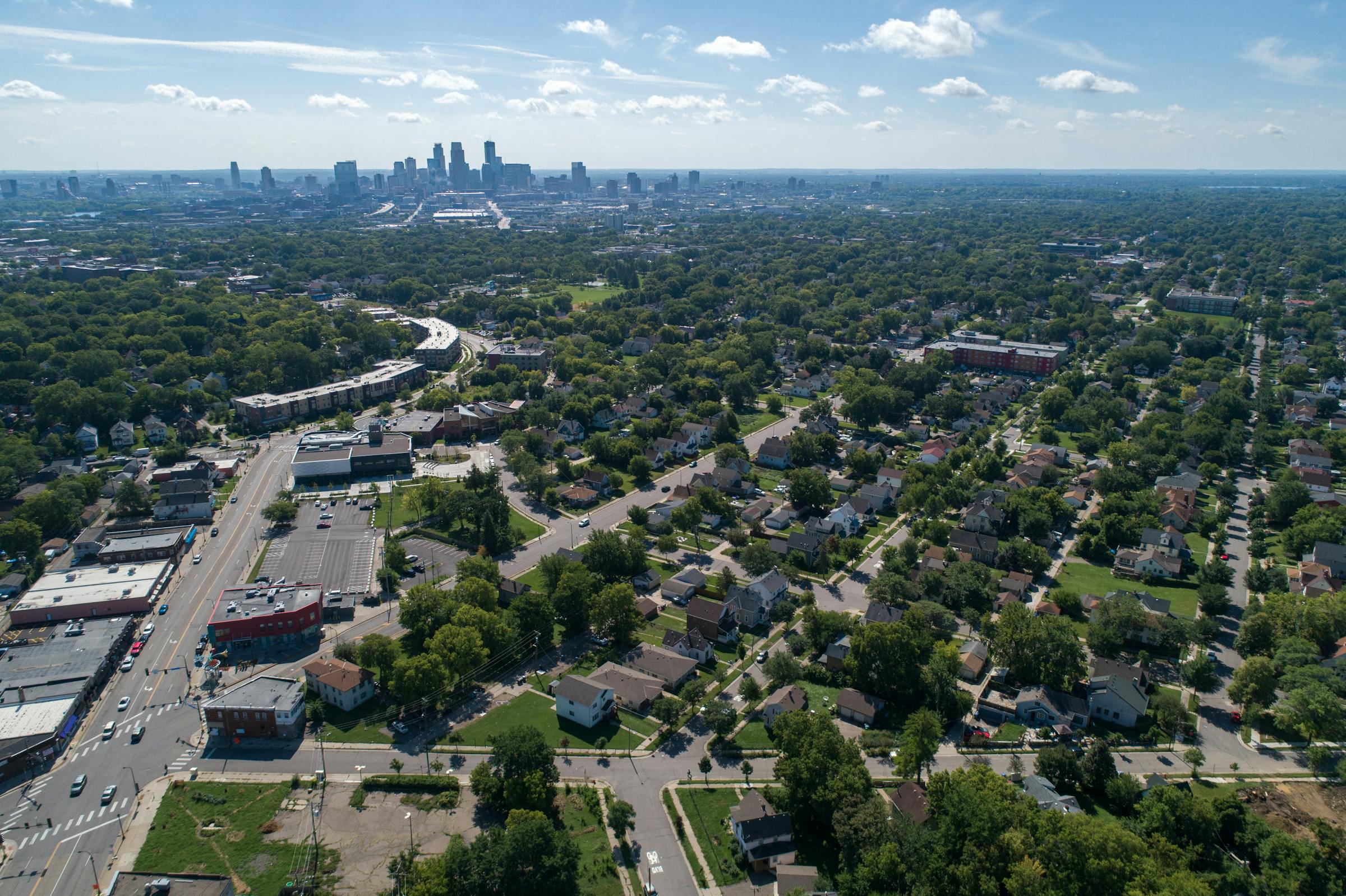 Readers Write: Tree cover, state and local elections