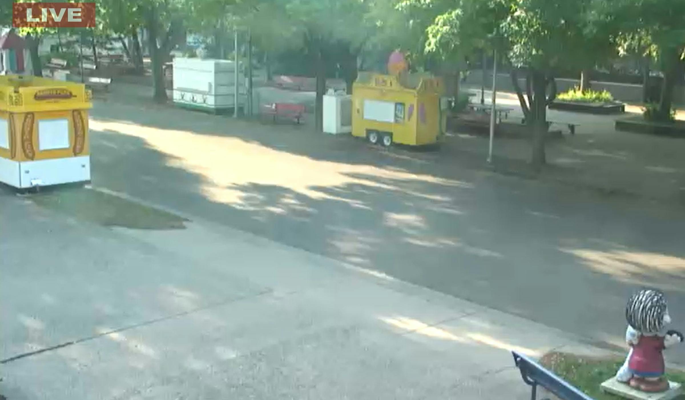 FairCam: Live video from 2025 MN State Fair