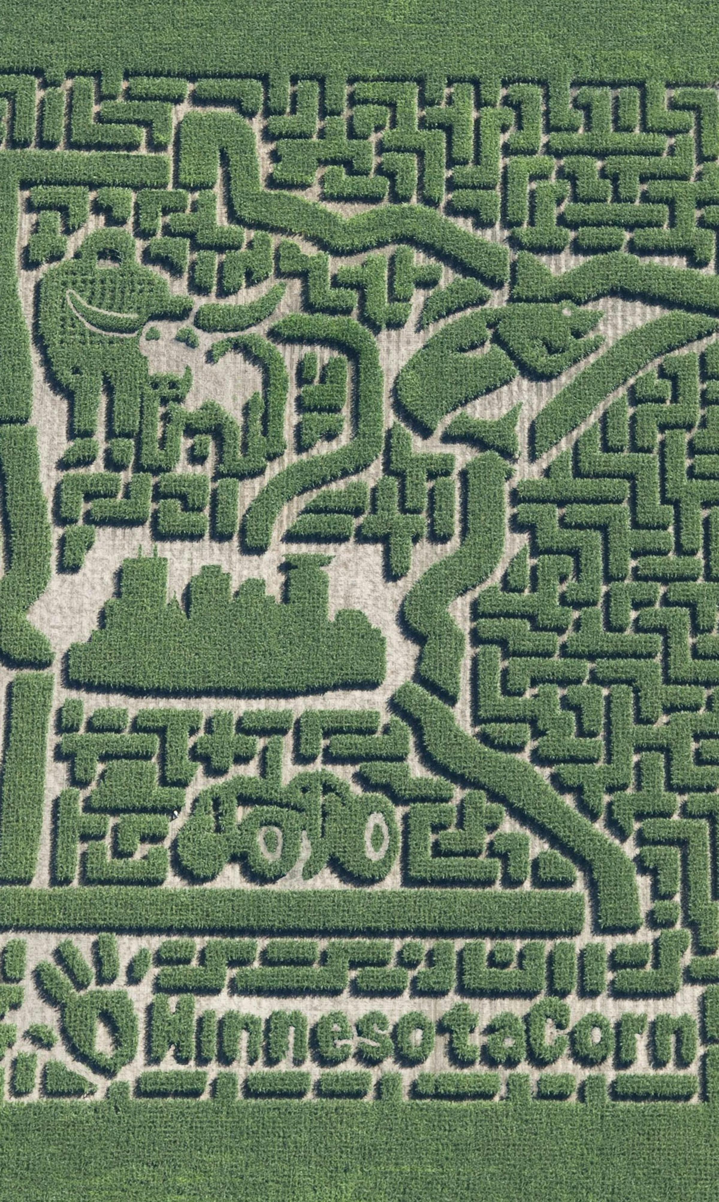 Weekend options: Sever's Corn Maze, Minnesota Reptile Show