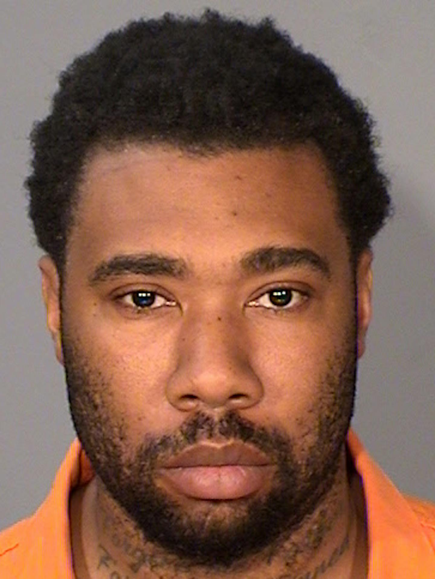Charges: Man targeted woman's St. Paul home at random, raped her at ...