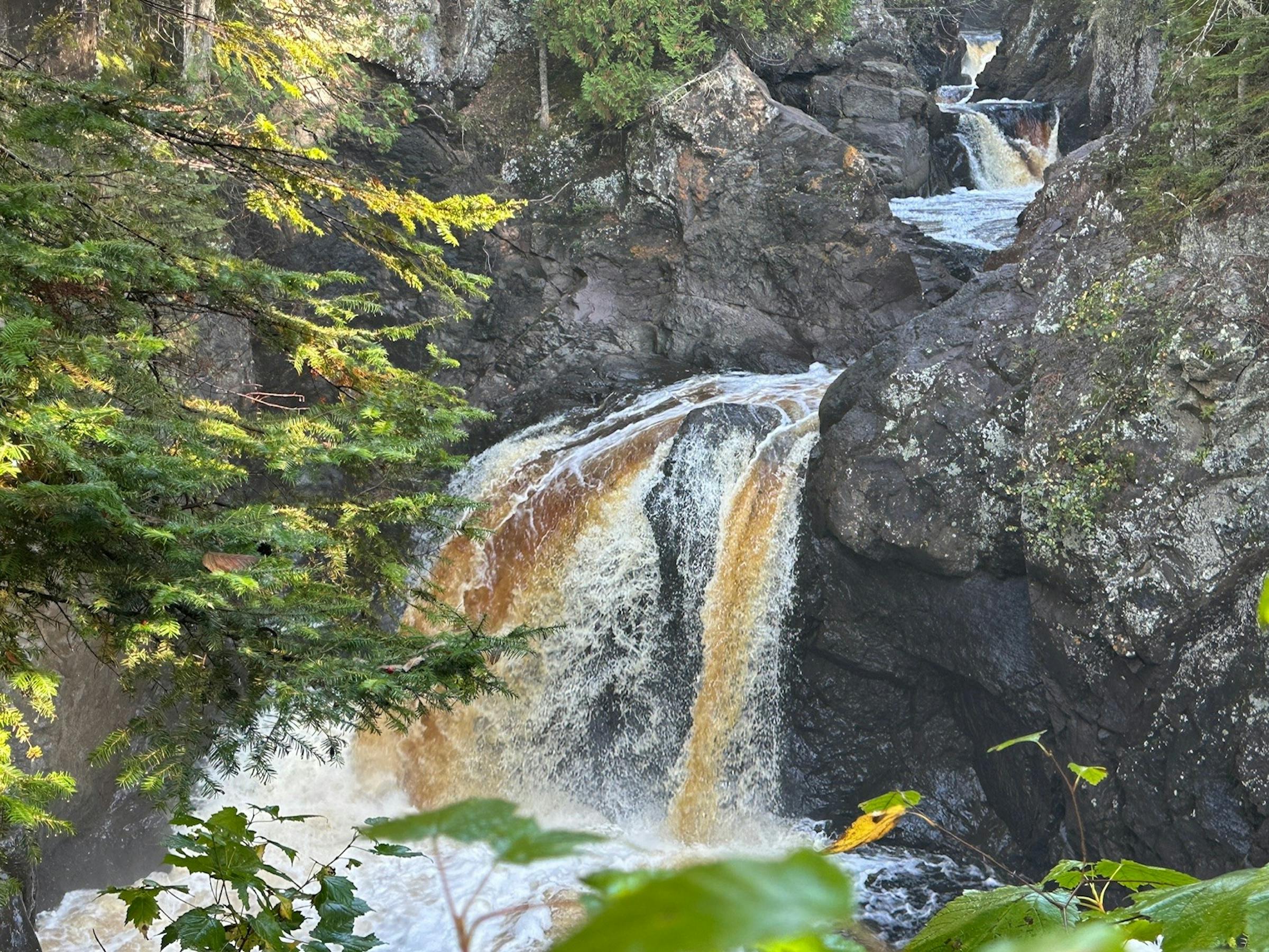 Why do northern Minnesota rivers look like root beer?