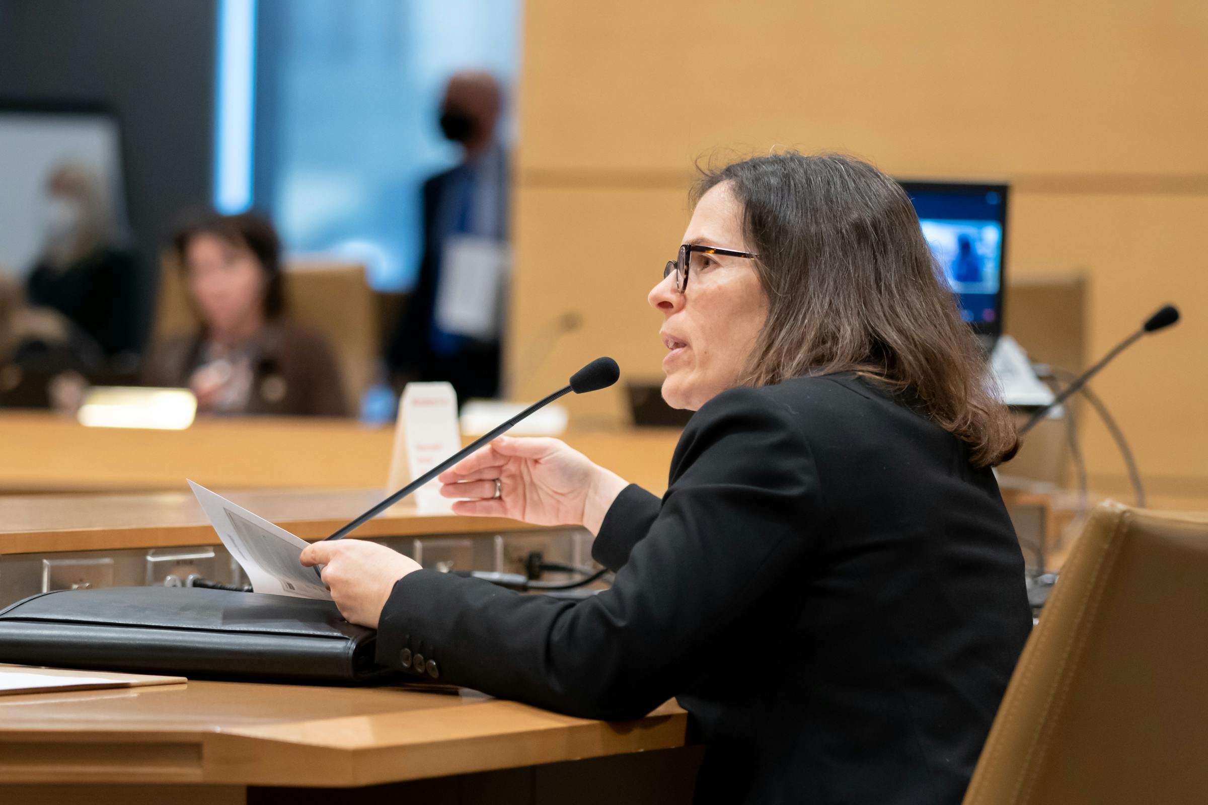 Minnesota's legislative auditor opens preliminary look into failed ...