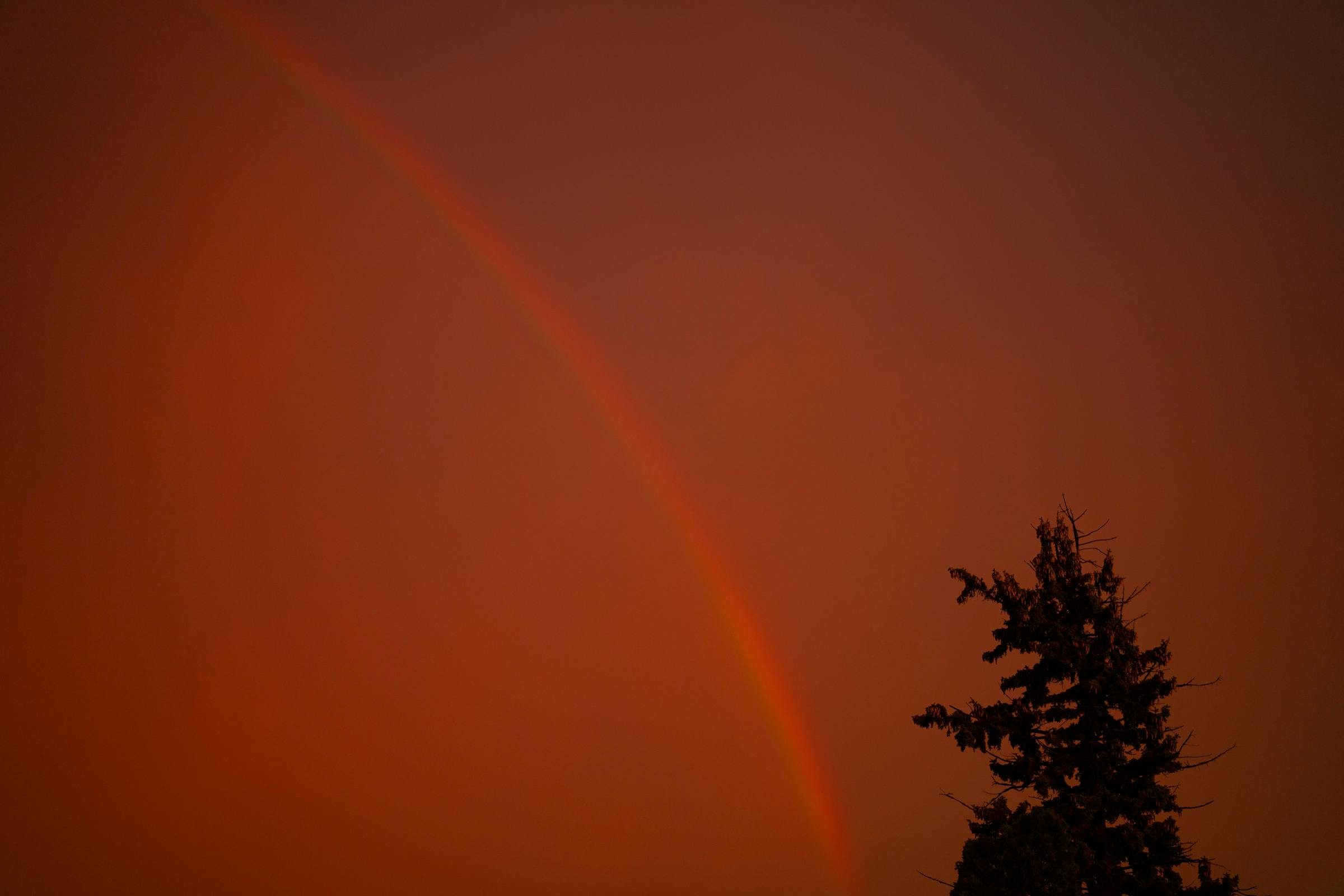 Twin Cities storm gives way to double rainbow and residents soaked in ...