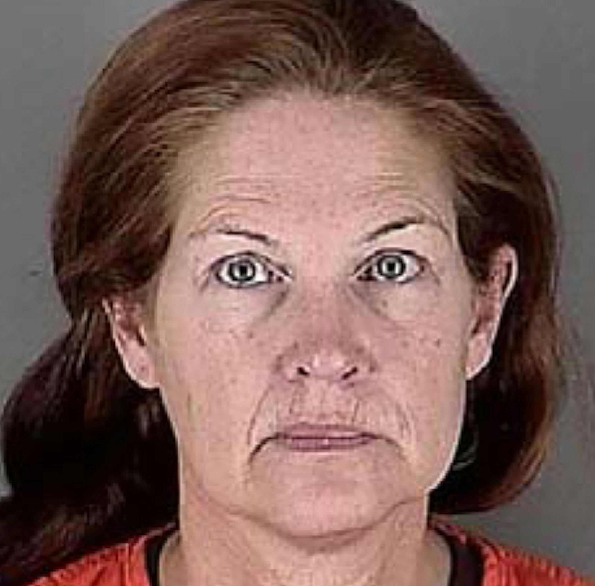 Deephaven woman who lived in mansion, owned yacht pleads guilty to ...