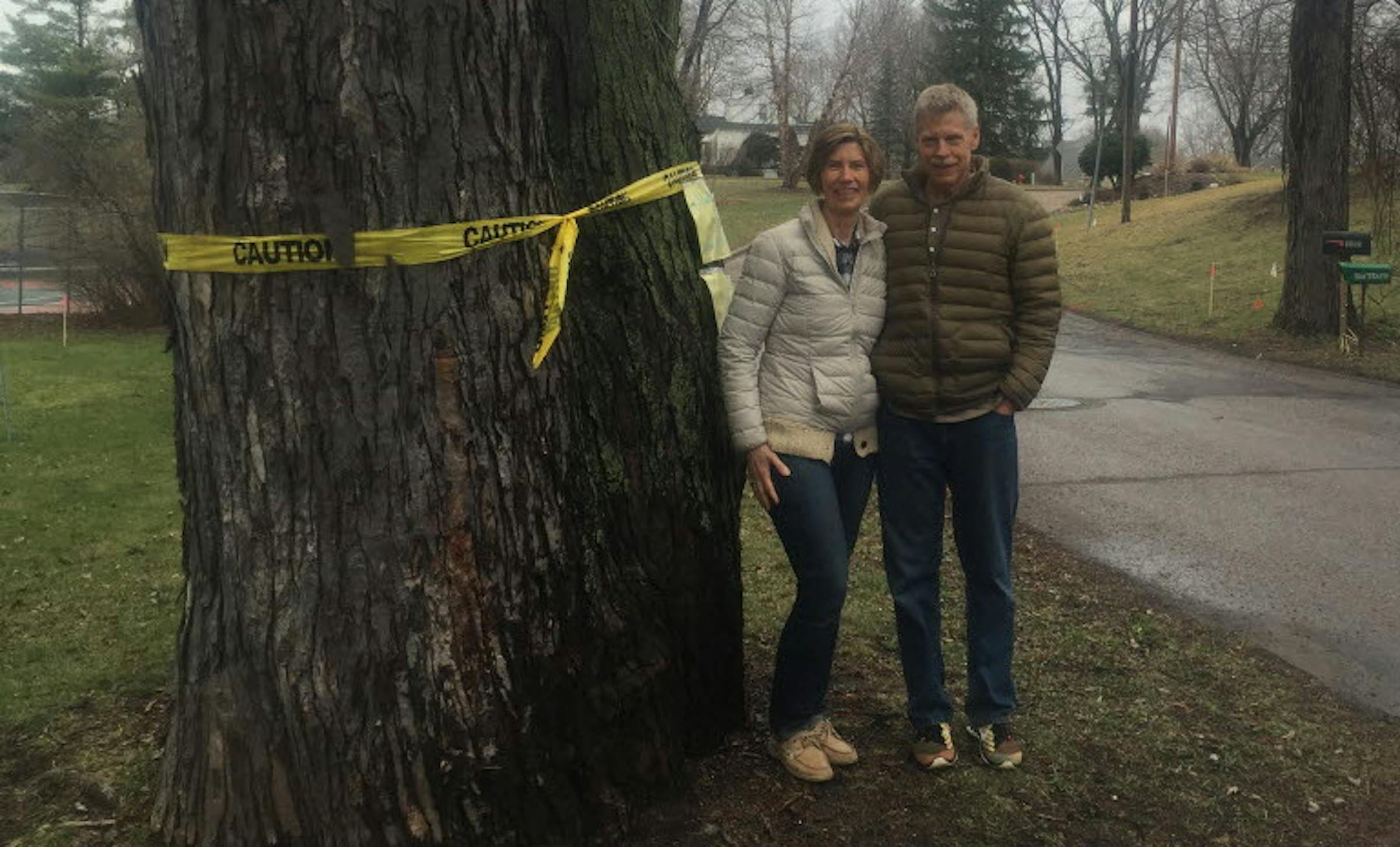 Minnetonka approves cutting down hundreds of trees for road project ...