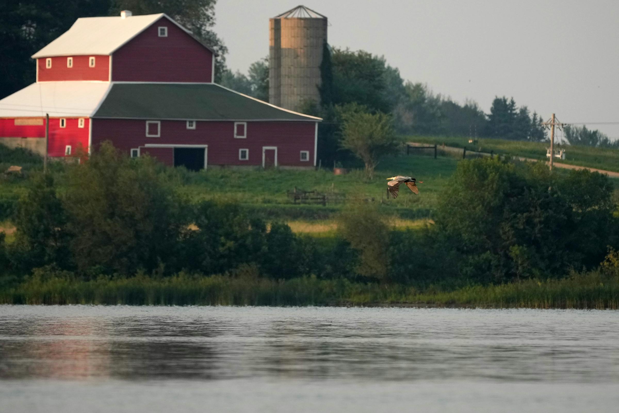 How Farm Aid actually helps Minnesota farms
