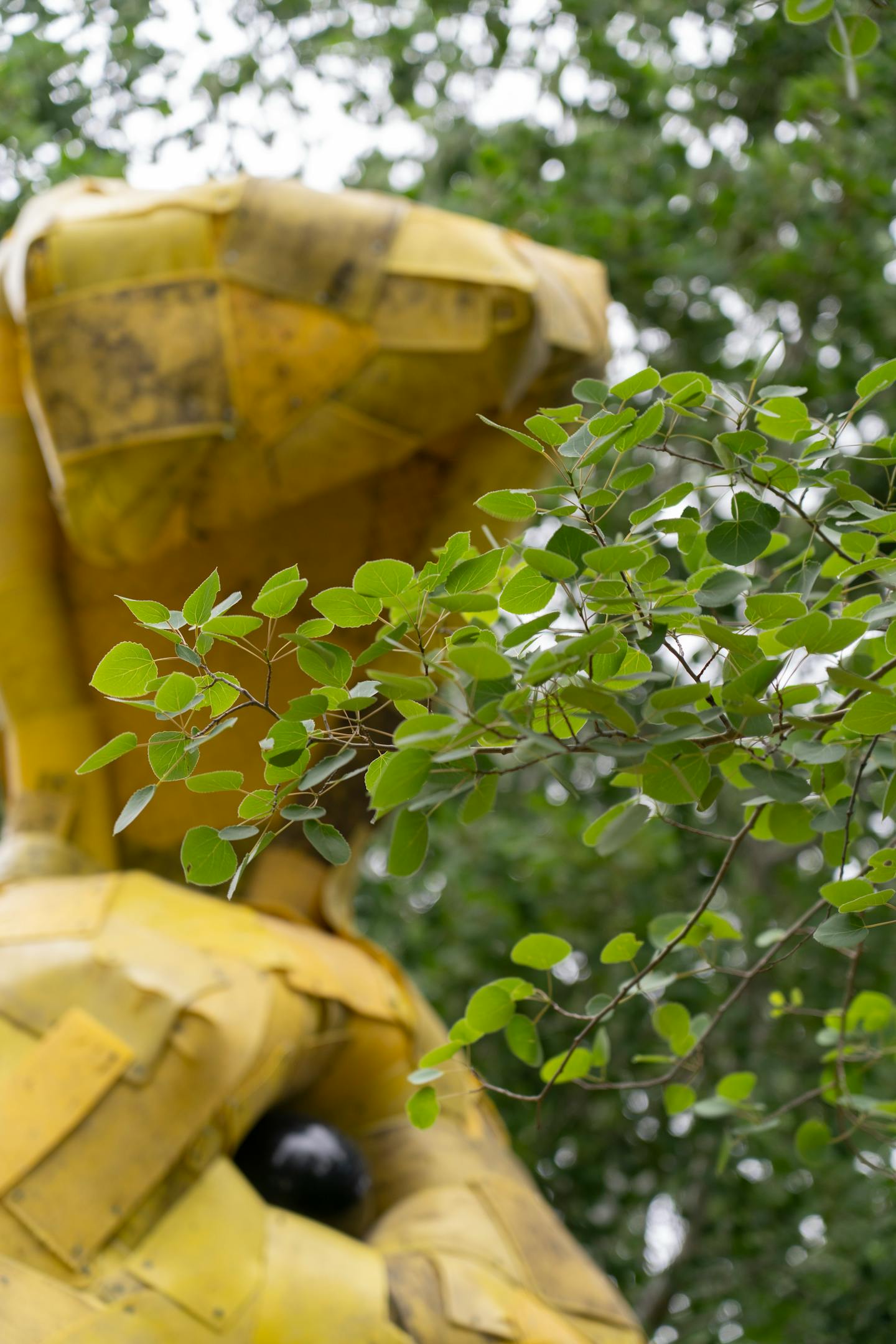 In Detroit Lakes, a giant troll hunt with a cast of hundreds