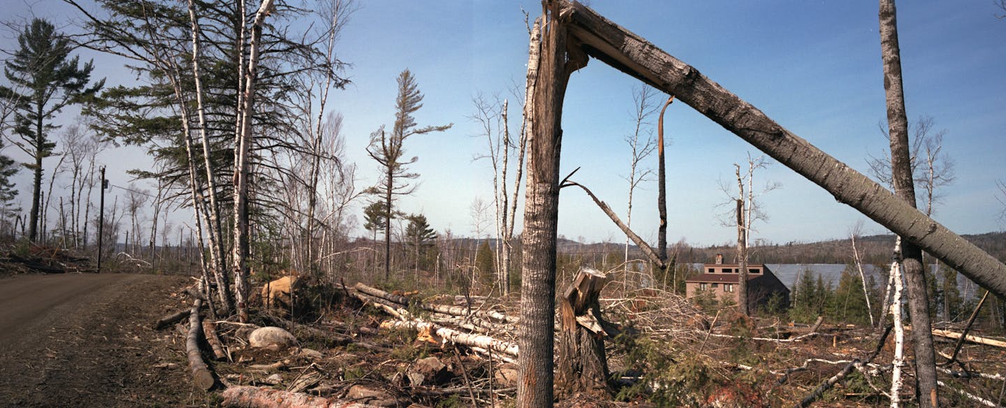 New book about the 1999 Boundary Waters blowdown focuses on the force of nature