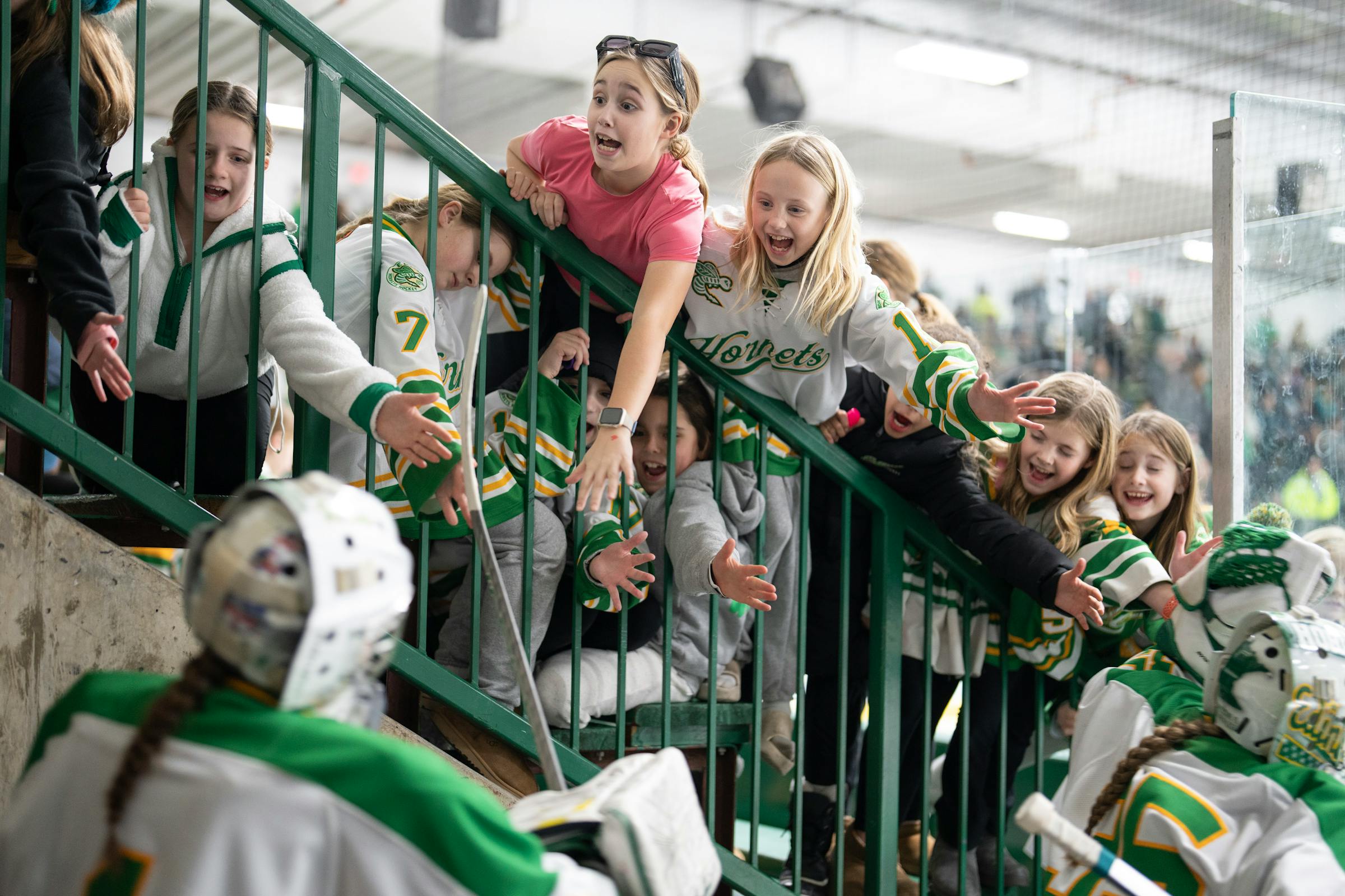 The Minnesota Top 25, the Star Tribune’s high school girls hockey ...