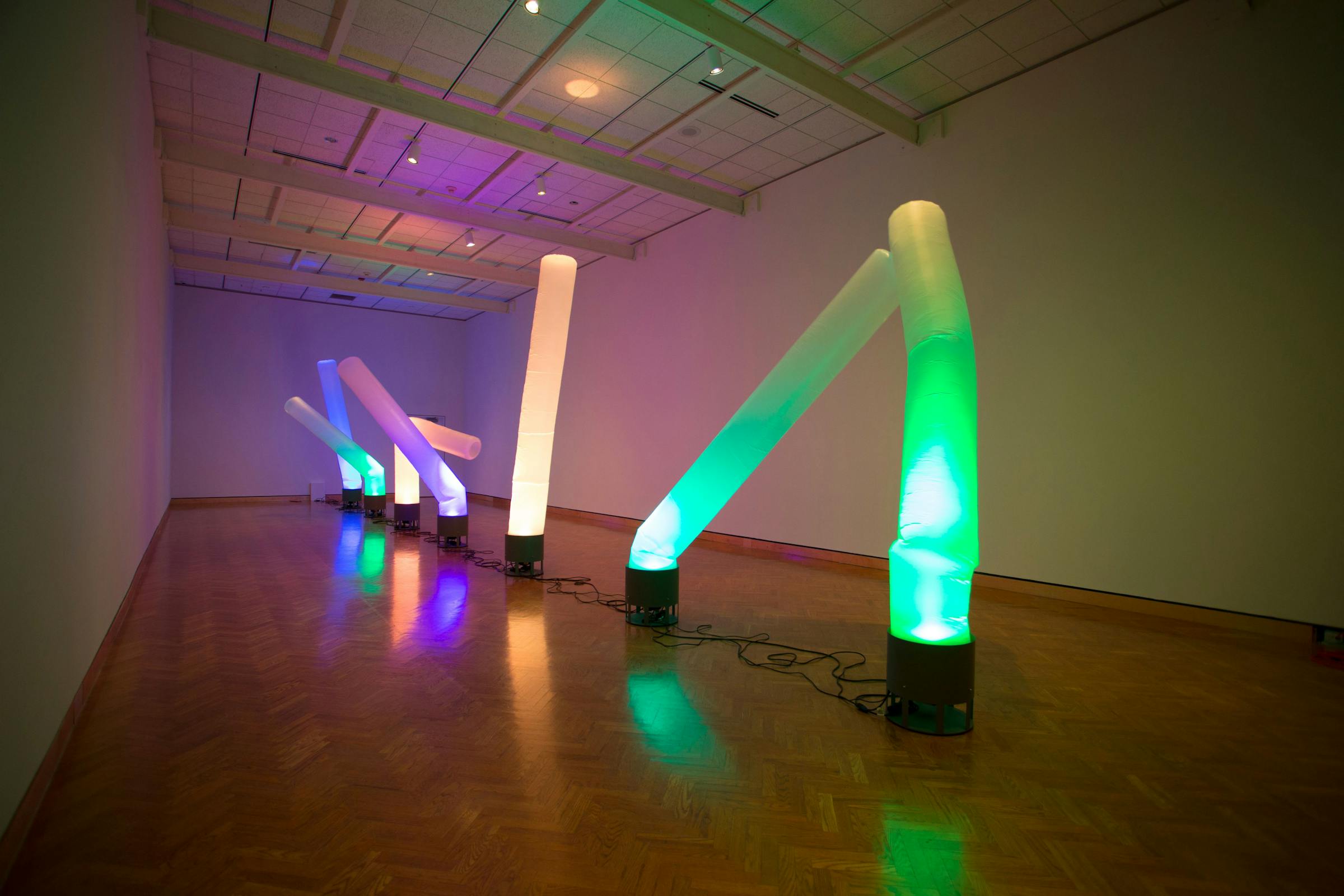 St. Paul artist confronts environmental change by translating science ...