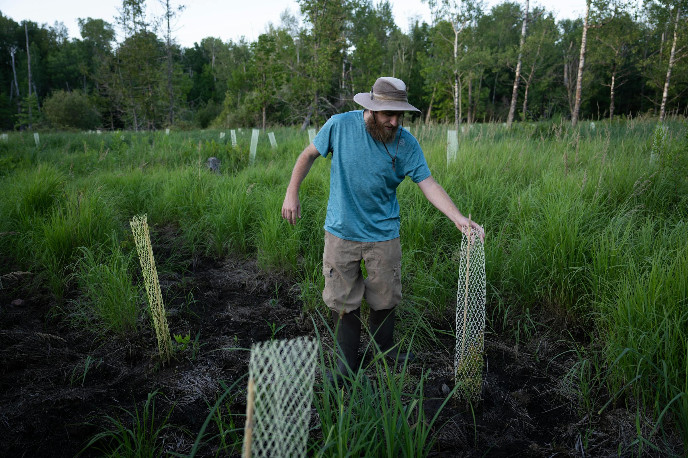 Northeast Minnesota's Native communities adapting to climate change