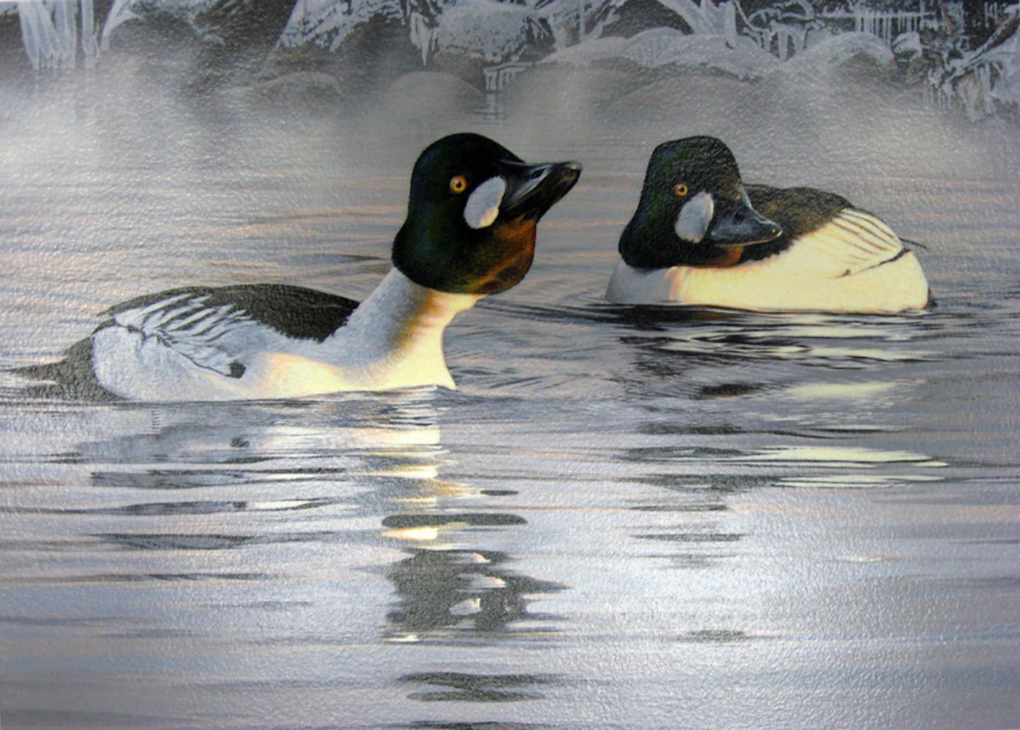 State duck stamp winner revealed