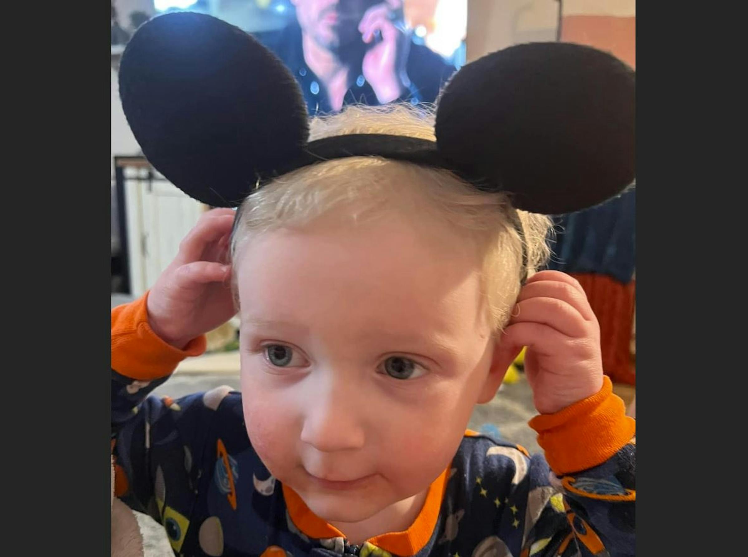 New harrowing details from pit bull mixes gravely mauling boy, 3, in ...