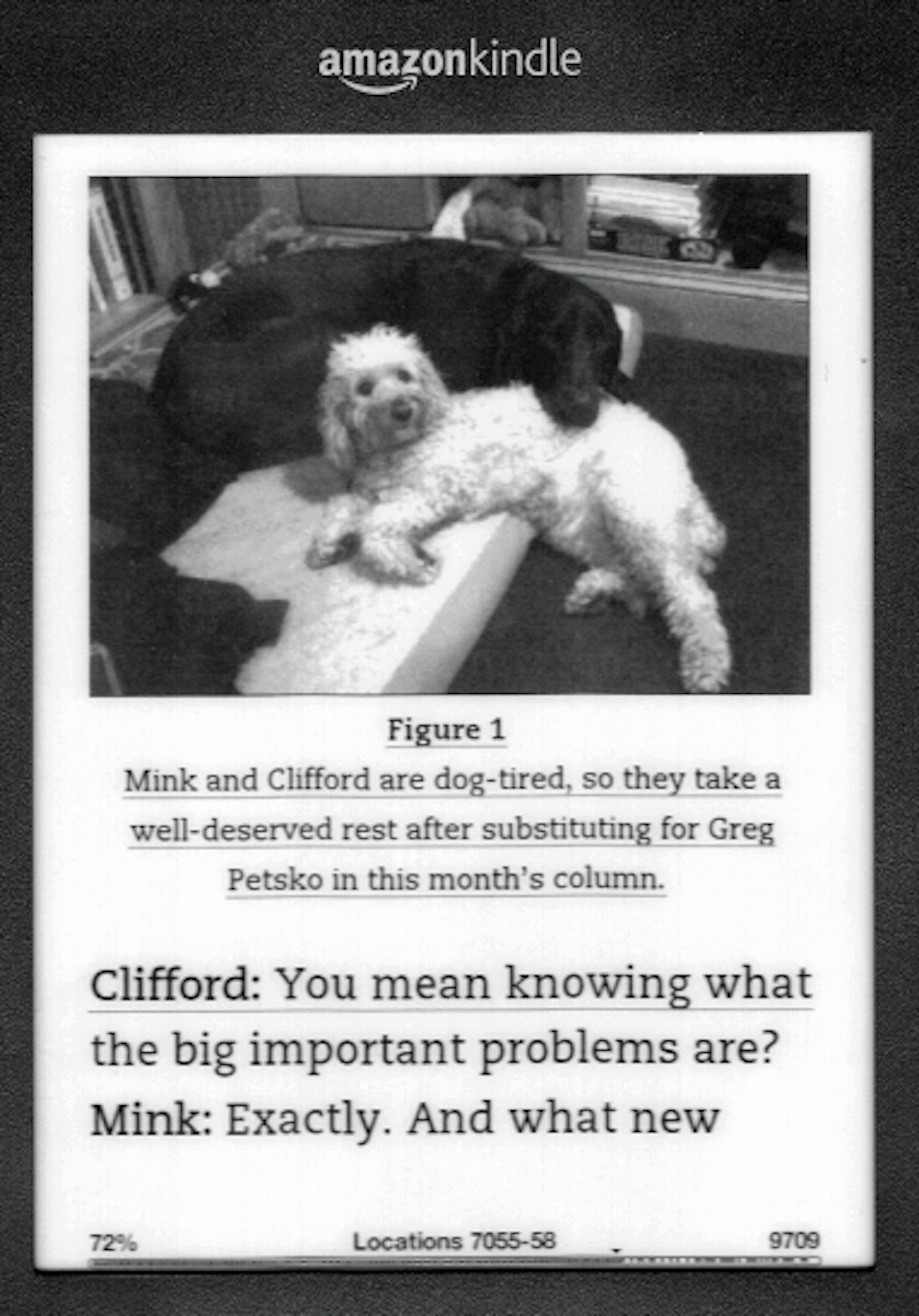Happy Holidays and Two Big Tail Wags From Mink and Clifford