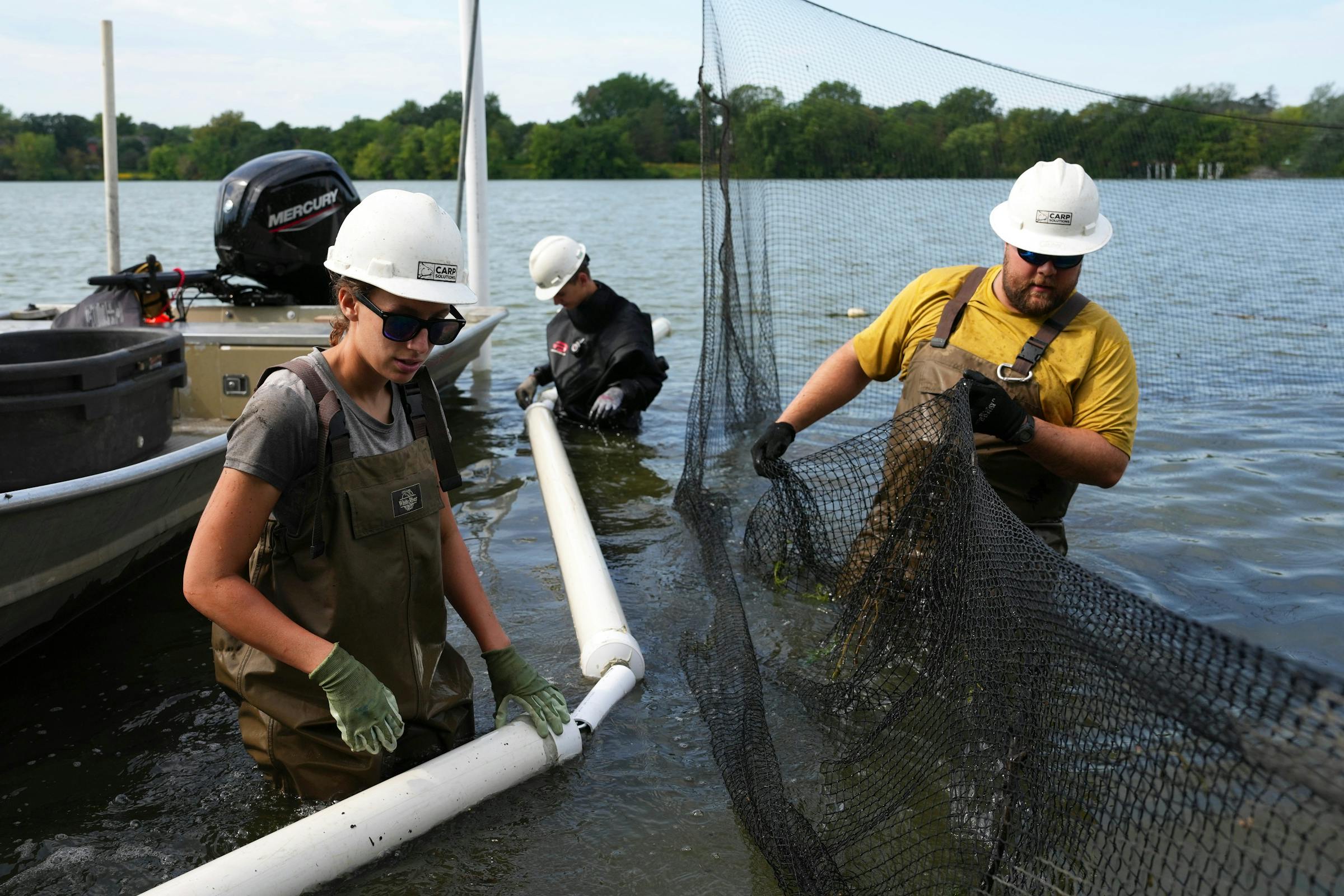 Scientists try to get a handle on invasive carp at St. Paul's Como Lake