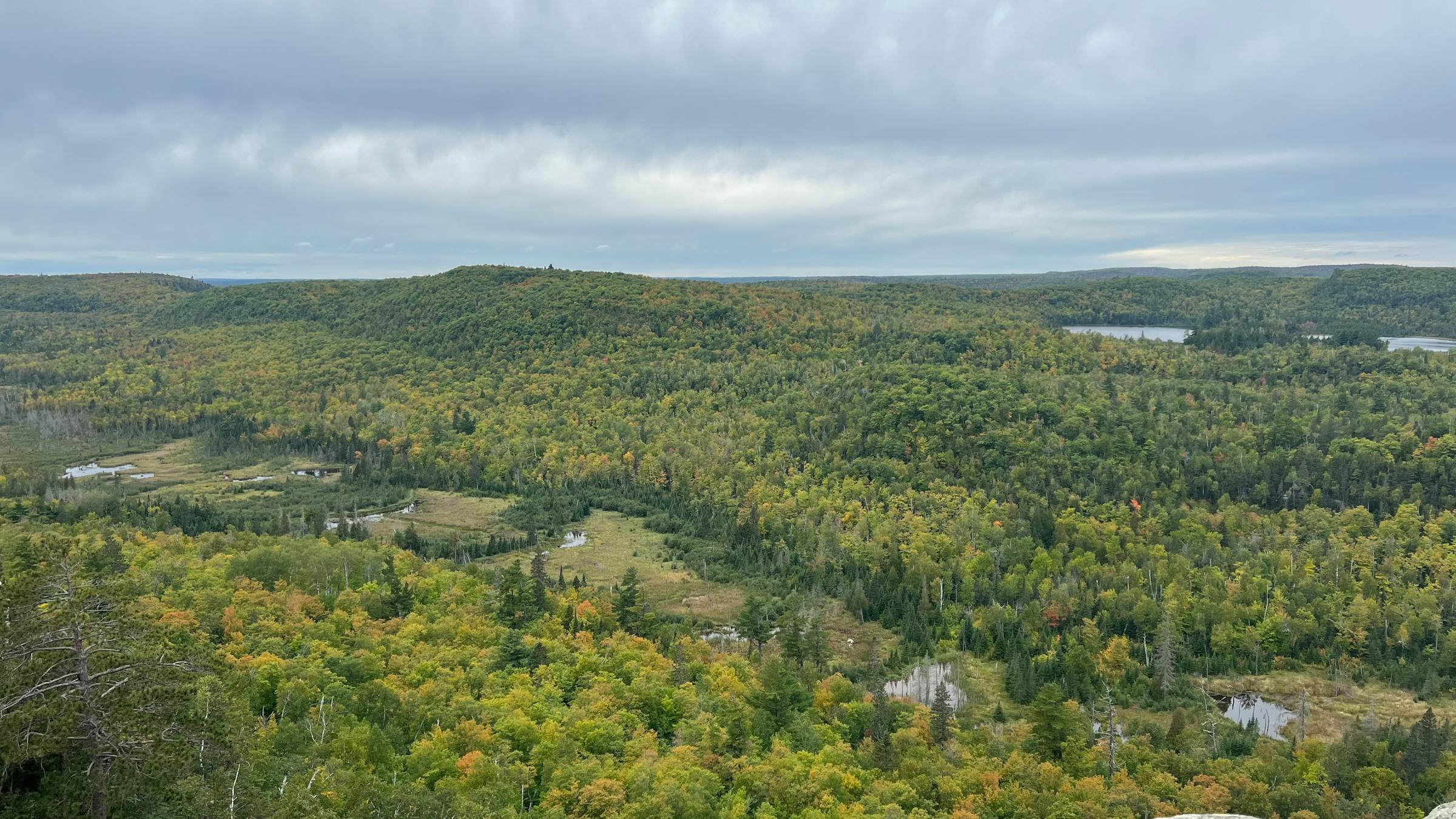 Breezy Weather Continues Monday - Tracking Frost And Freeze Concerns ...
