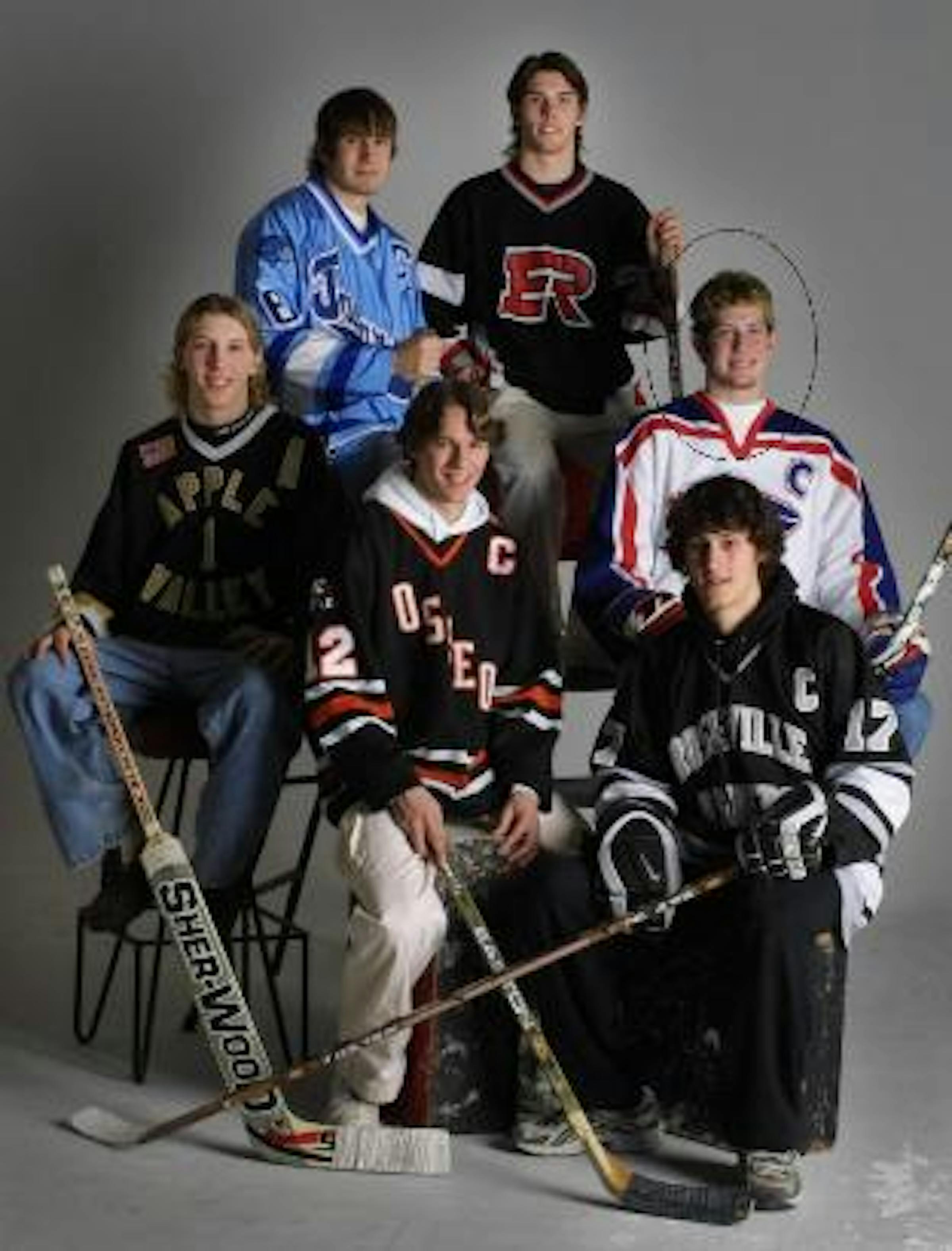 Former Minnesota high school standout and current NHL player David ...