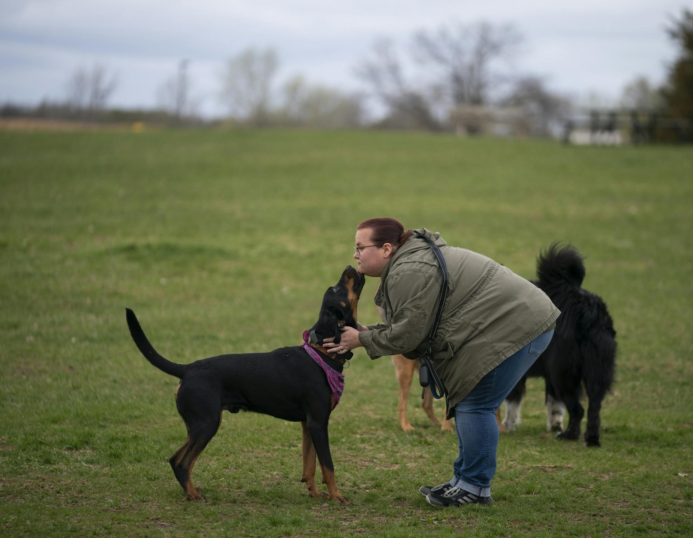CDC recommends social distancing for dogs, cats, other animals