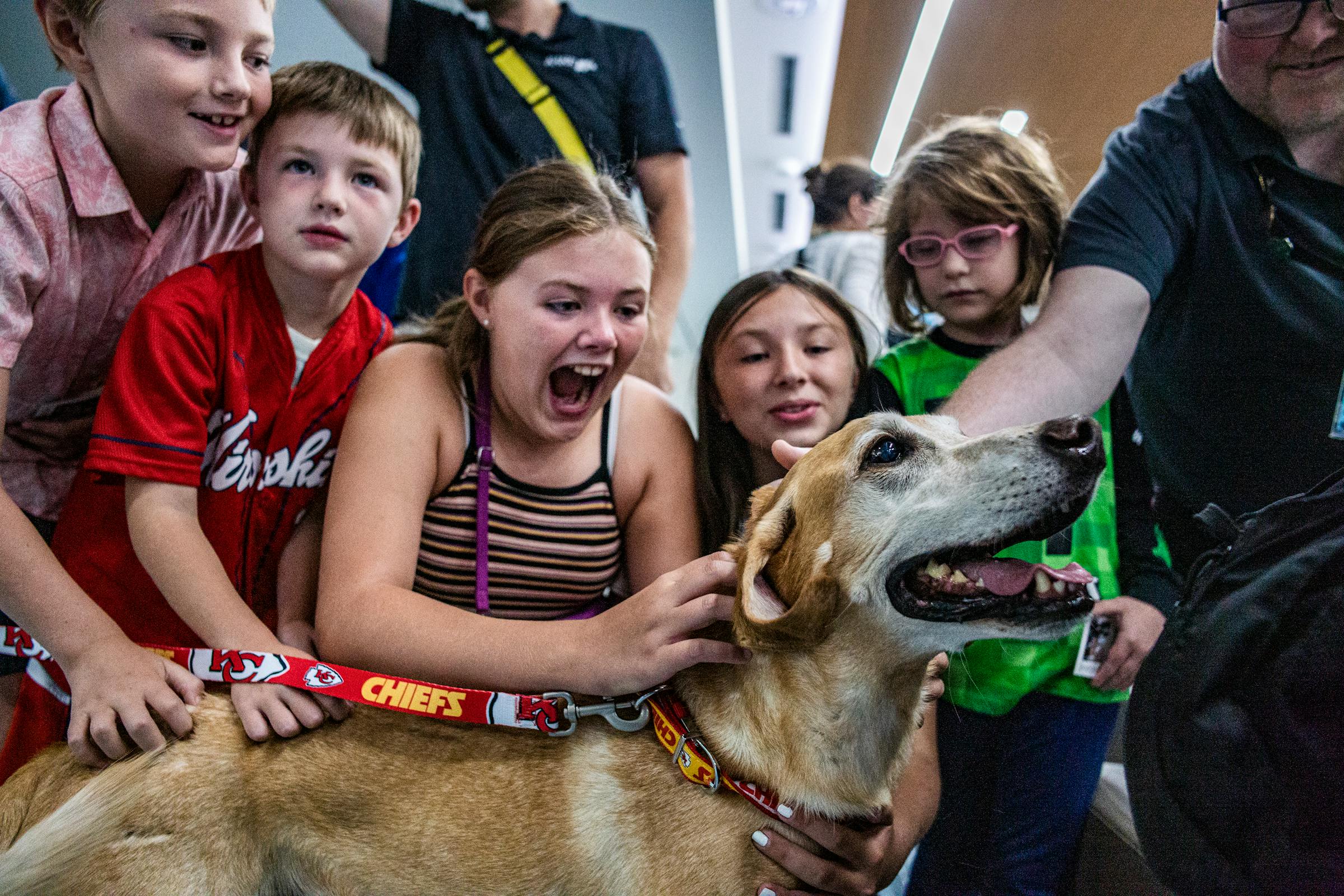 TSA's Cutest Canine retires after 10 years of bomb sniffing at MSP airport