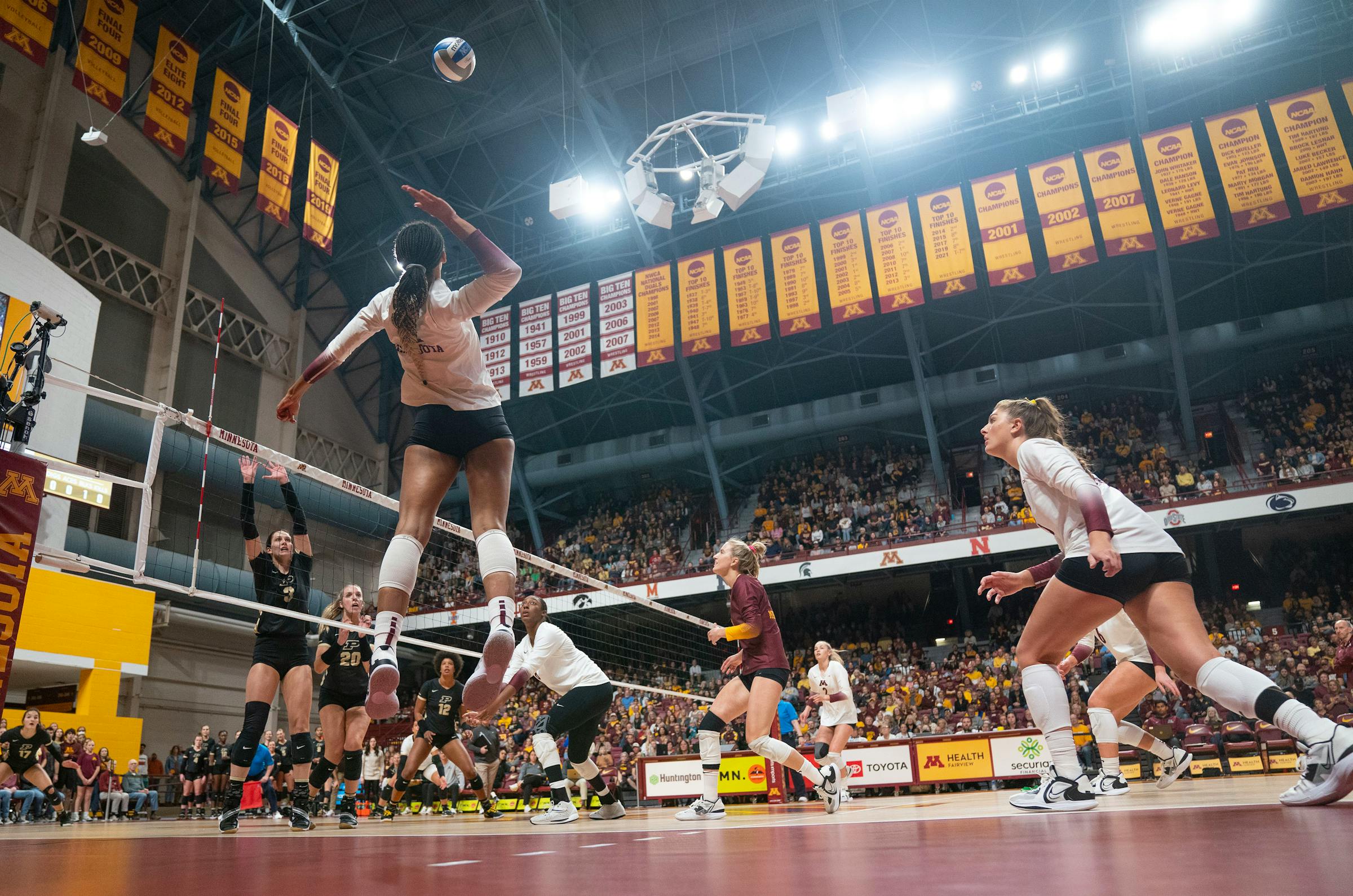 Gophers volleyball sweeps Michigan