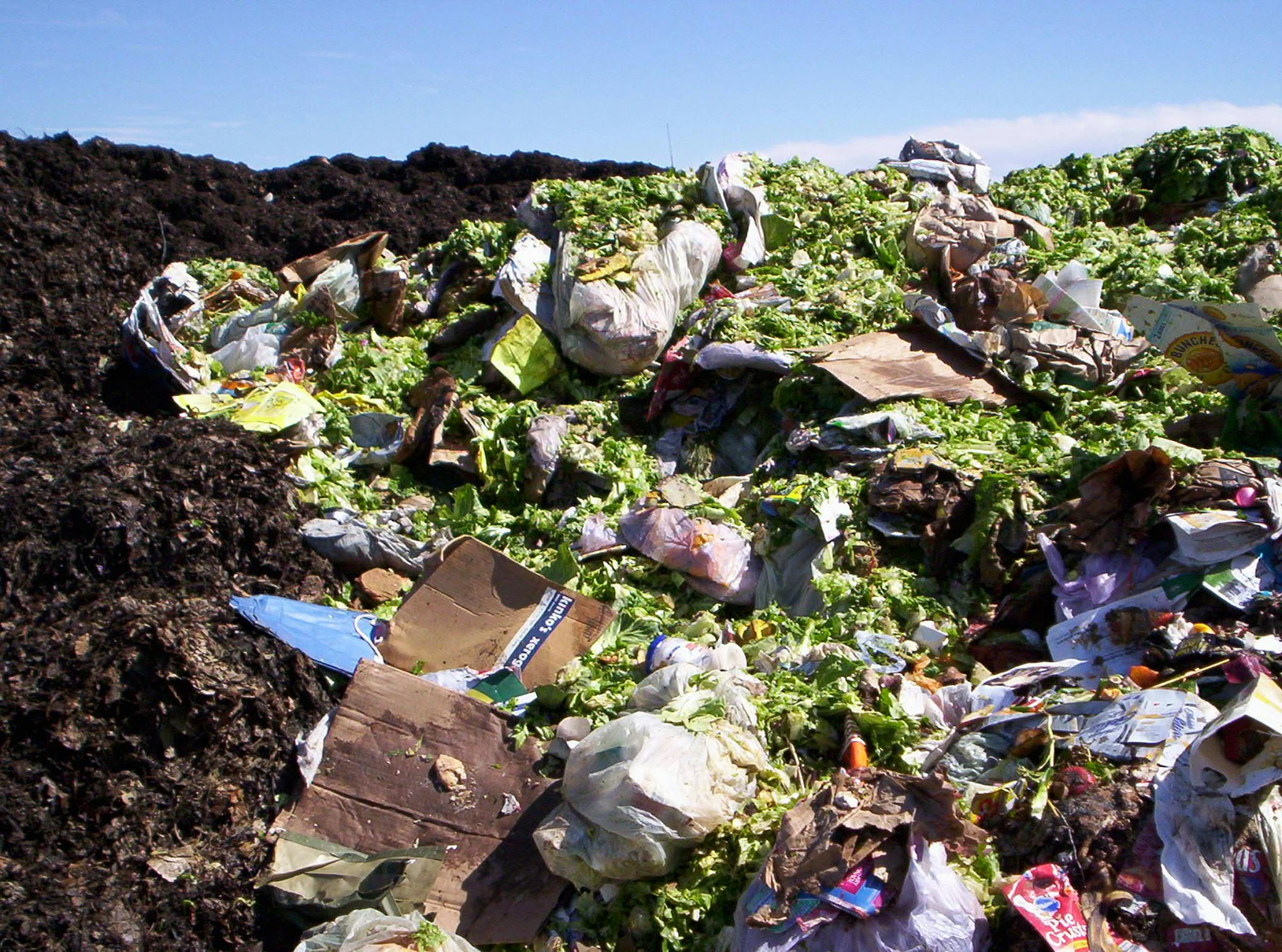 Food scrap program now available in 4 cities in eastern Twin Cities area