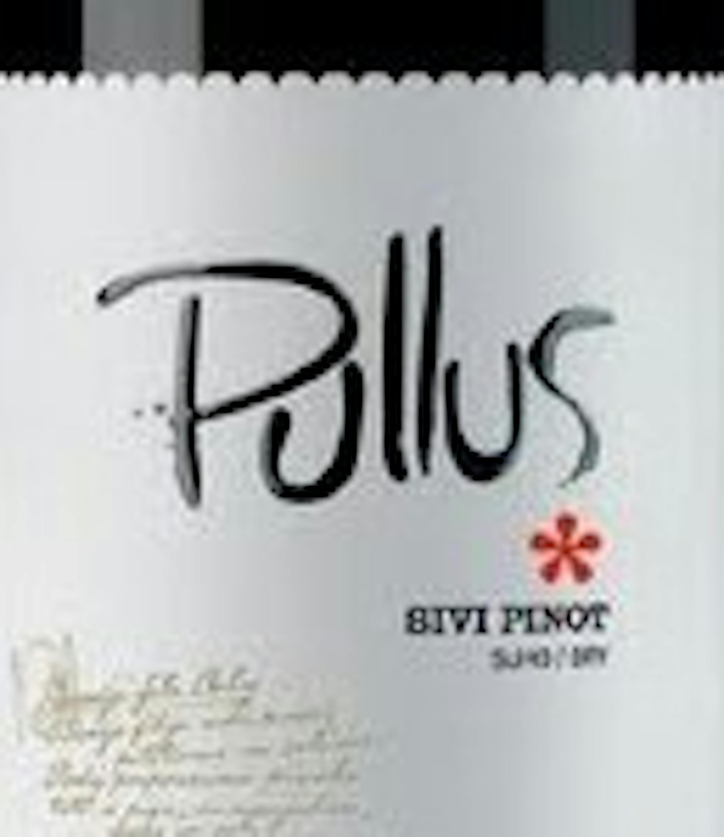 Wine of the Week: Pullus Pinot Grigio 2017